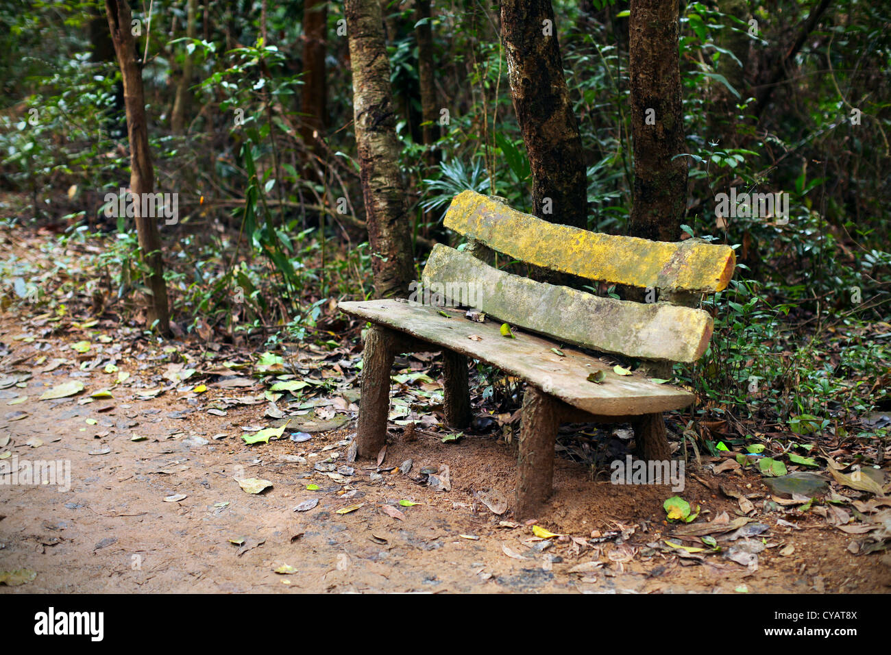 Wooden park bench, sitting area in the woods Stock Photo - Alamy