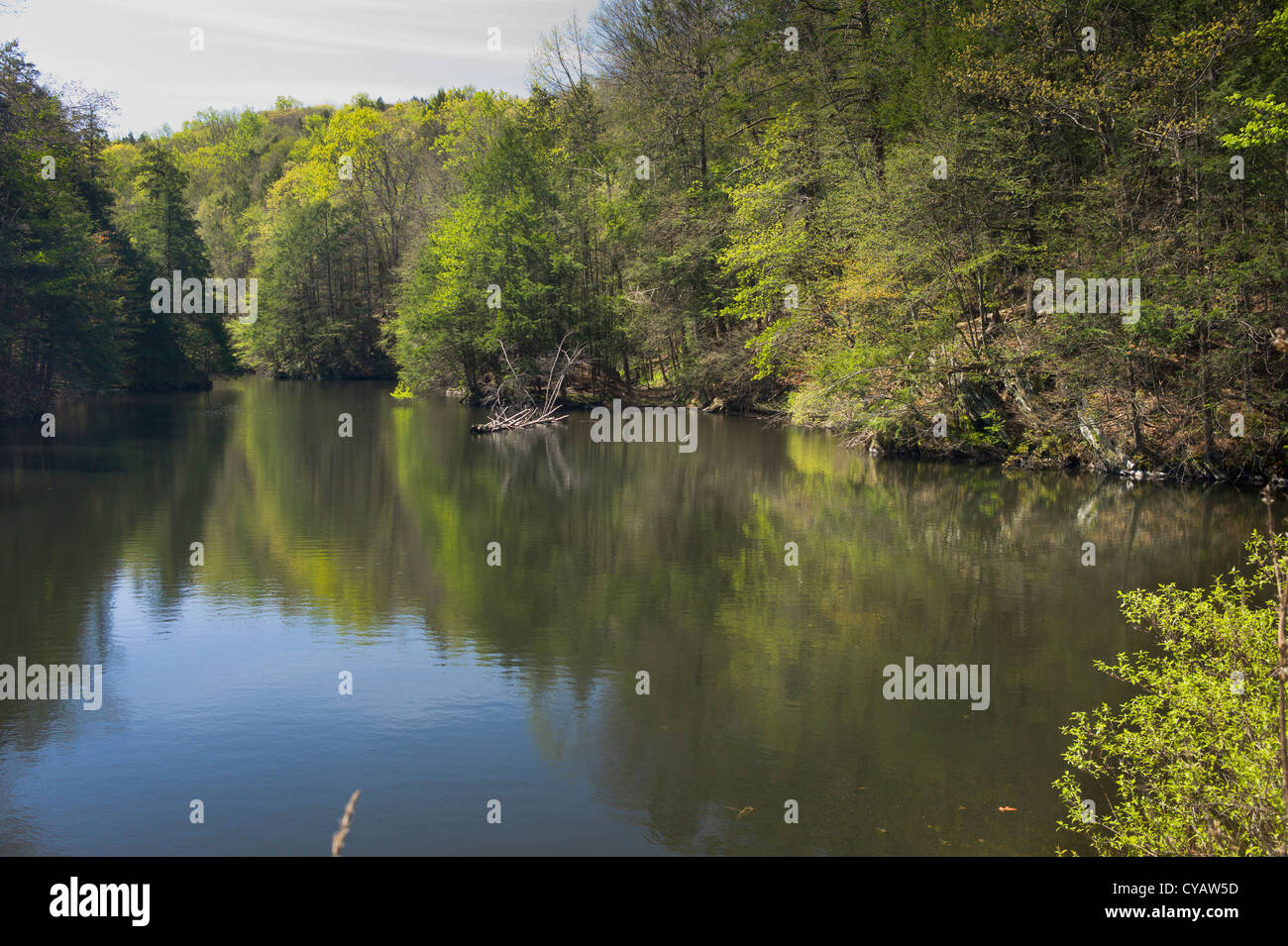 LAKE AND FOREST SANFORDTOWN RD REDDING CONNECTICUT Stock Photo - Alamy
