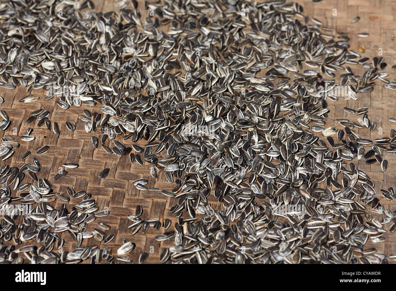 Sunflower seeds drying in the sun on the tarp Stock Photo - Alamy