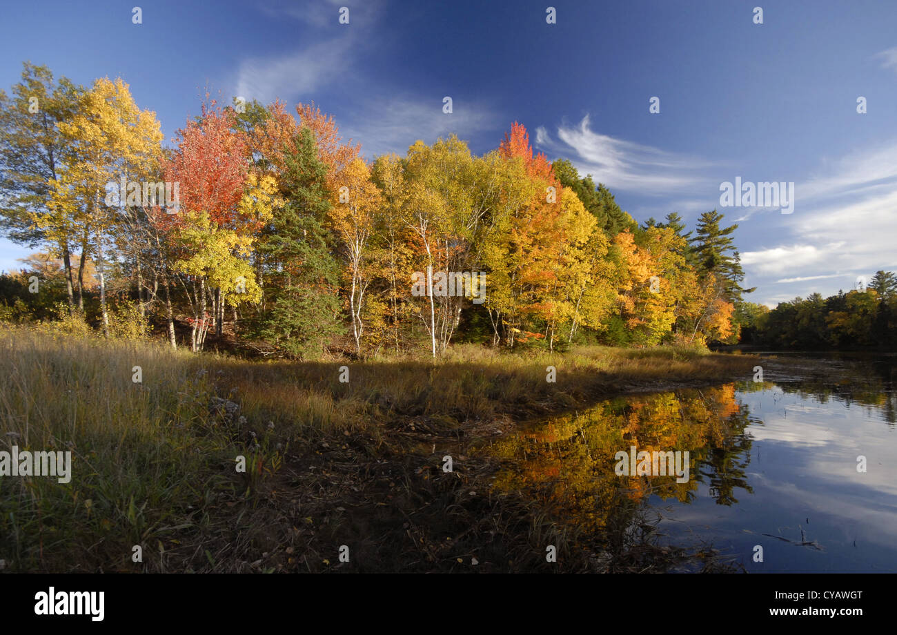 Autumn trees alongside the Waugh River, Tatamagouche, Nova Scotia Stock ...