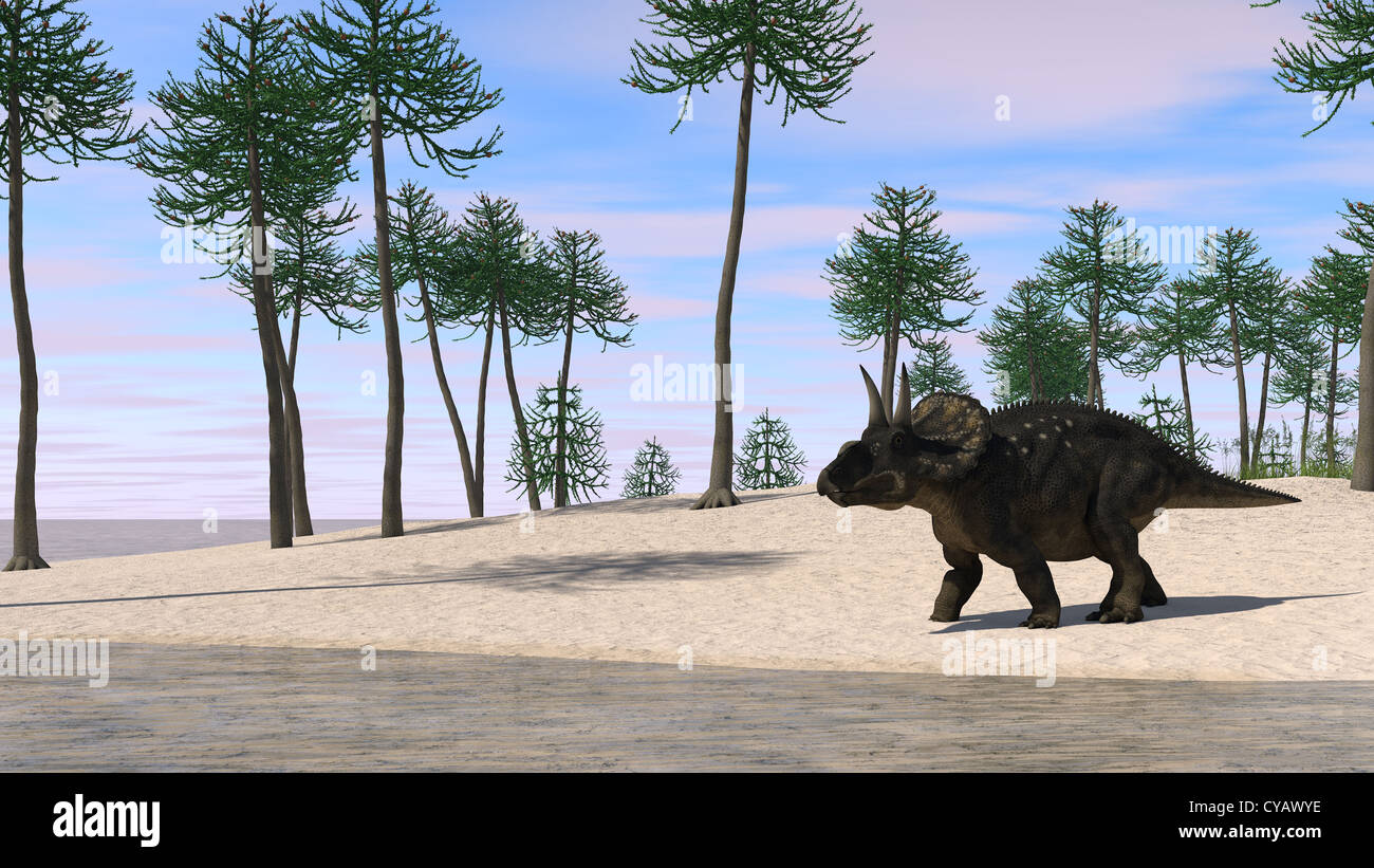 3d illustration of the walking diceratops Stock Photo - Alamy
