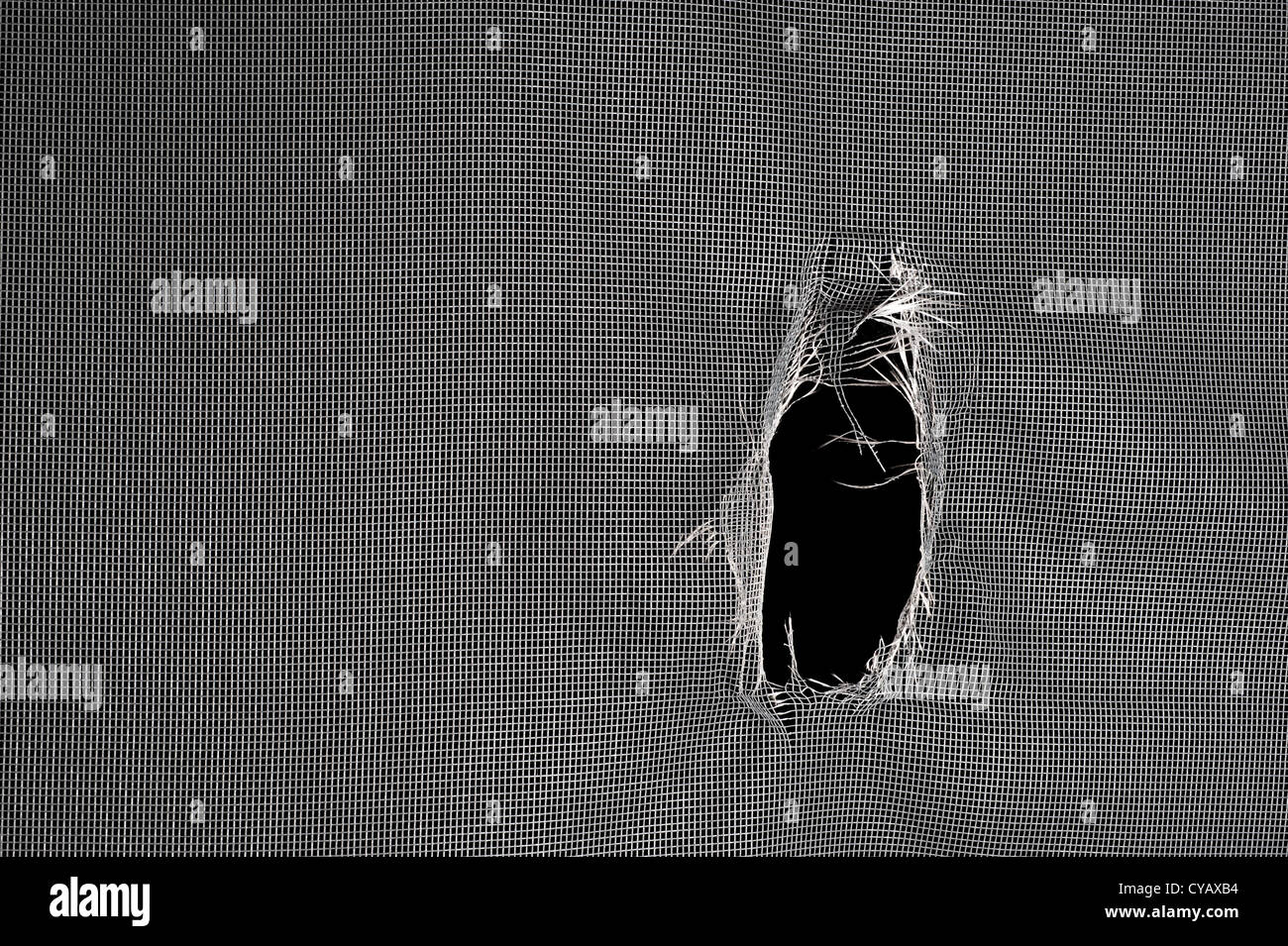 Window screen torn with a big hole against a black background Stock ...