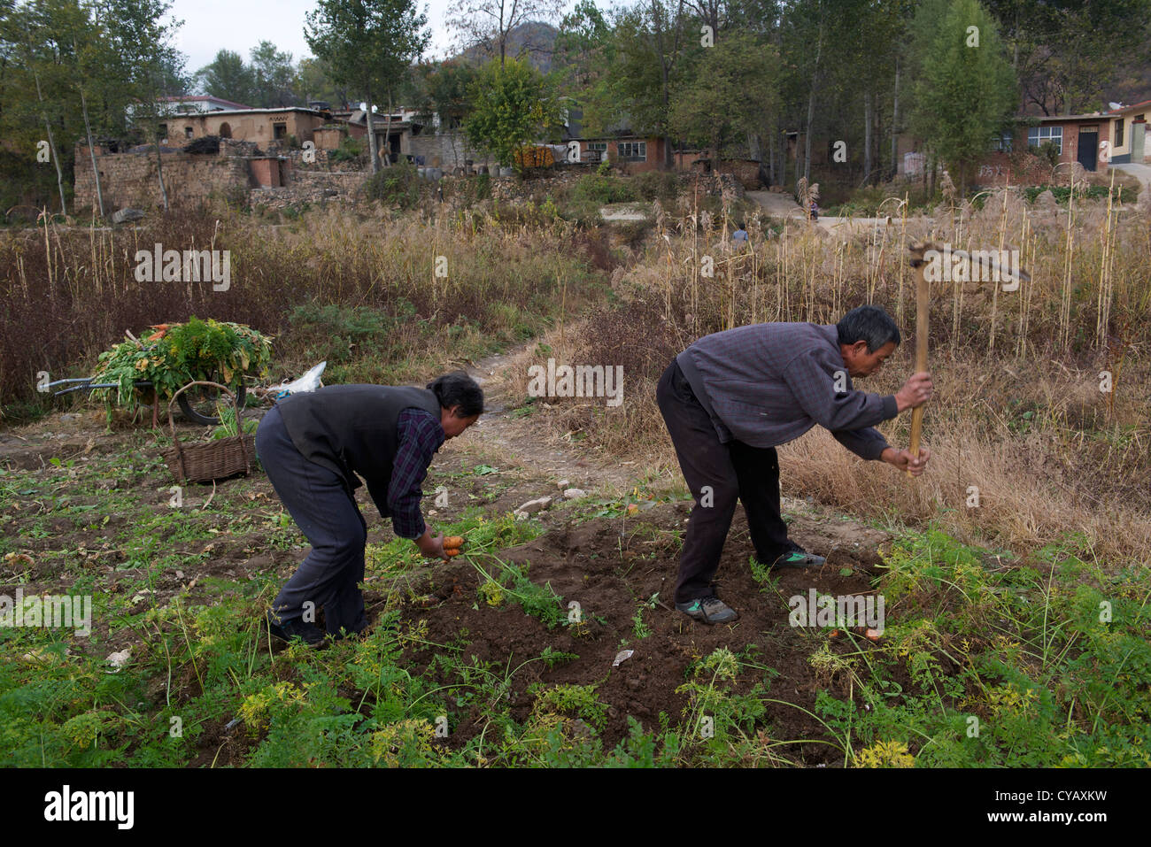 Poverty scale hi-res stock photography and images - Alamy