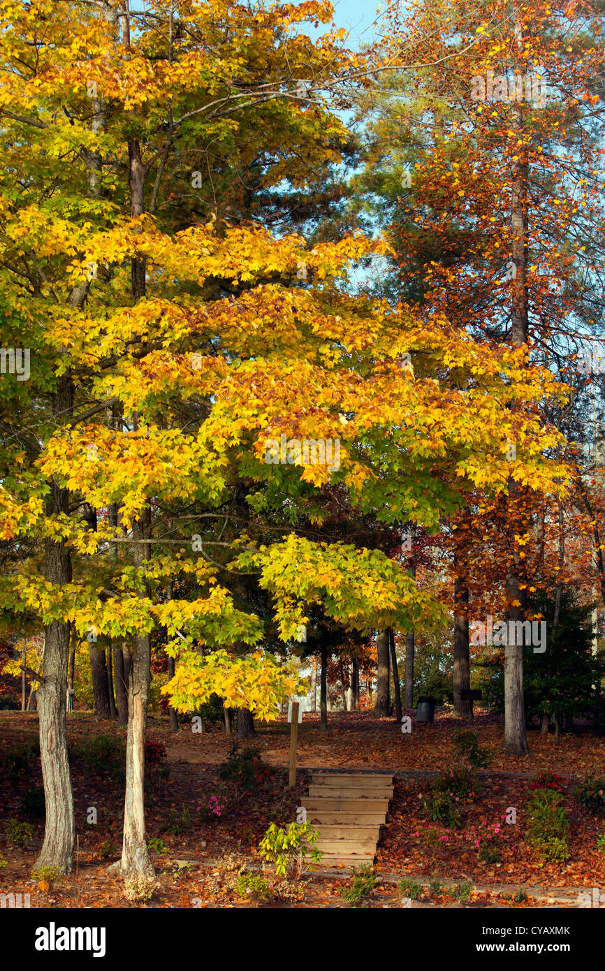Lake julian asheville north carolina hi-res stock photography and ...
