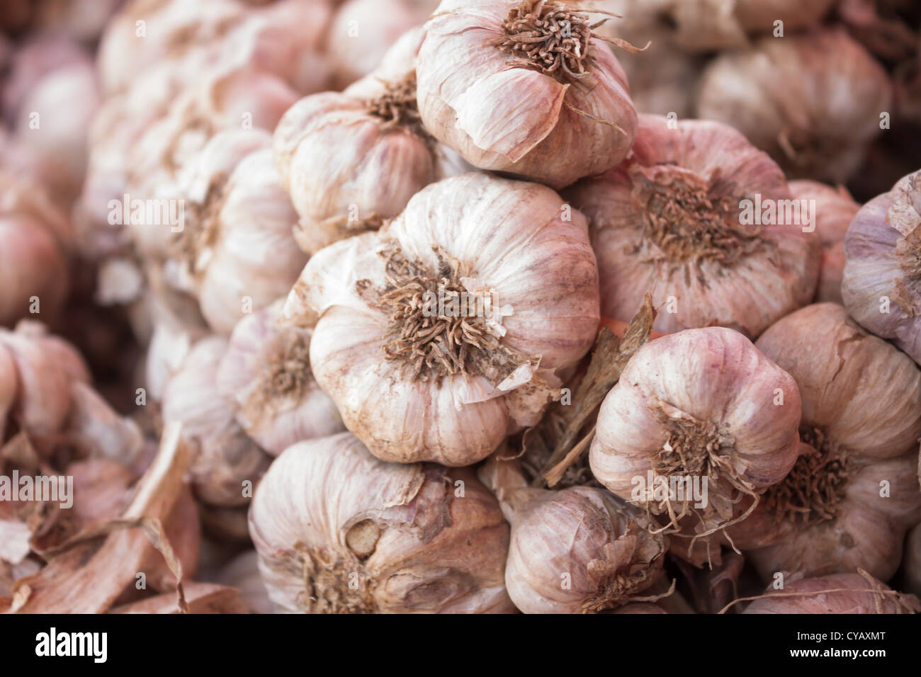 Fresh garlic on display at local market Stock Photo - Alamy