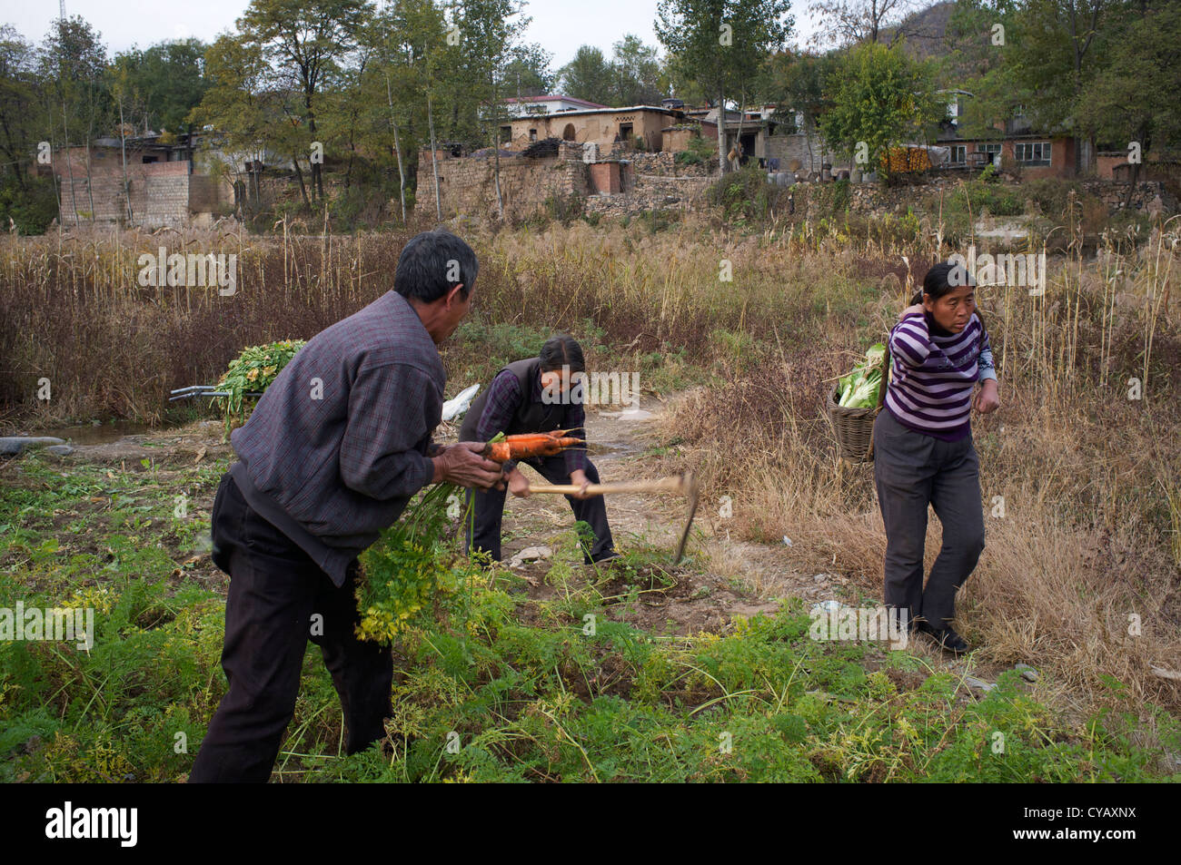 Rural farming in china hi-res stock photography and images - Alamy