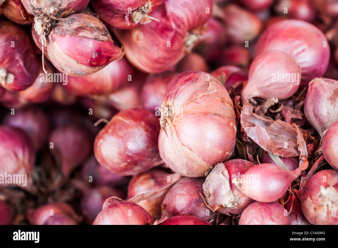 Fresh shallot on display at local market Stock Photo - Alamy