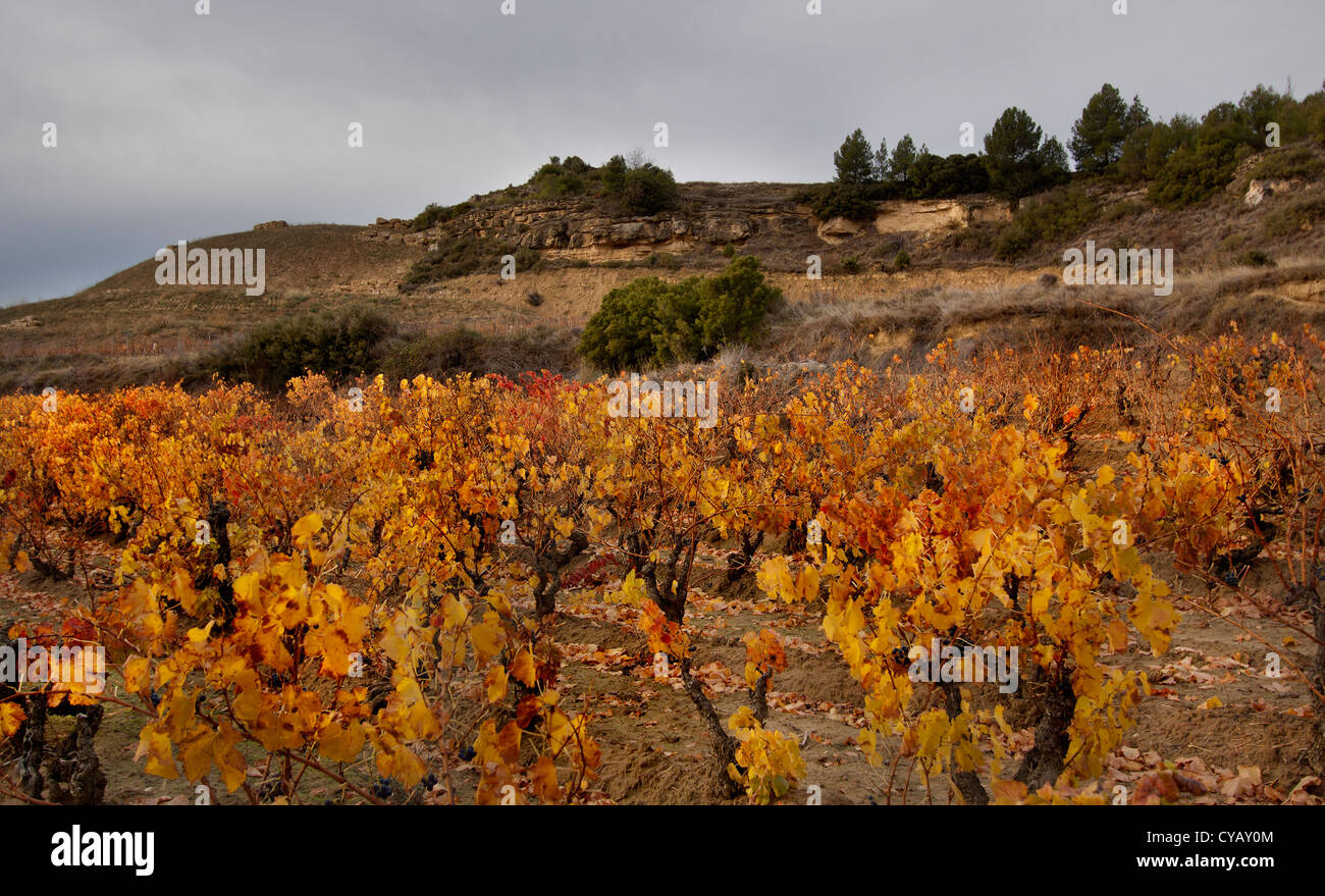 Spain la rioja haro hi-res stock photography and images - Alamy