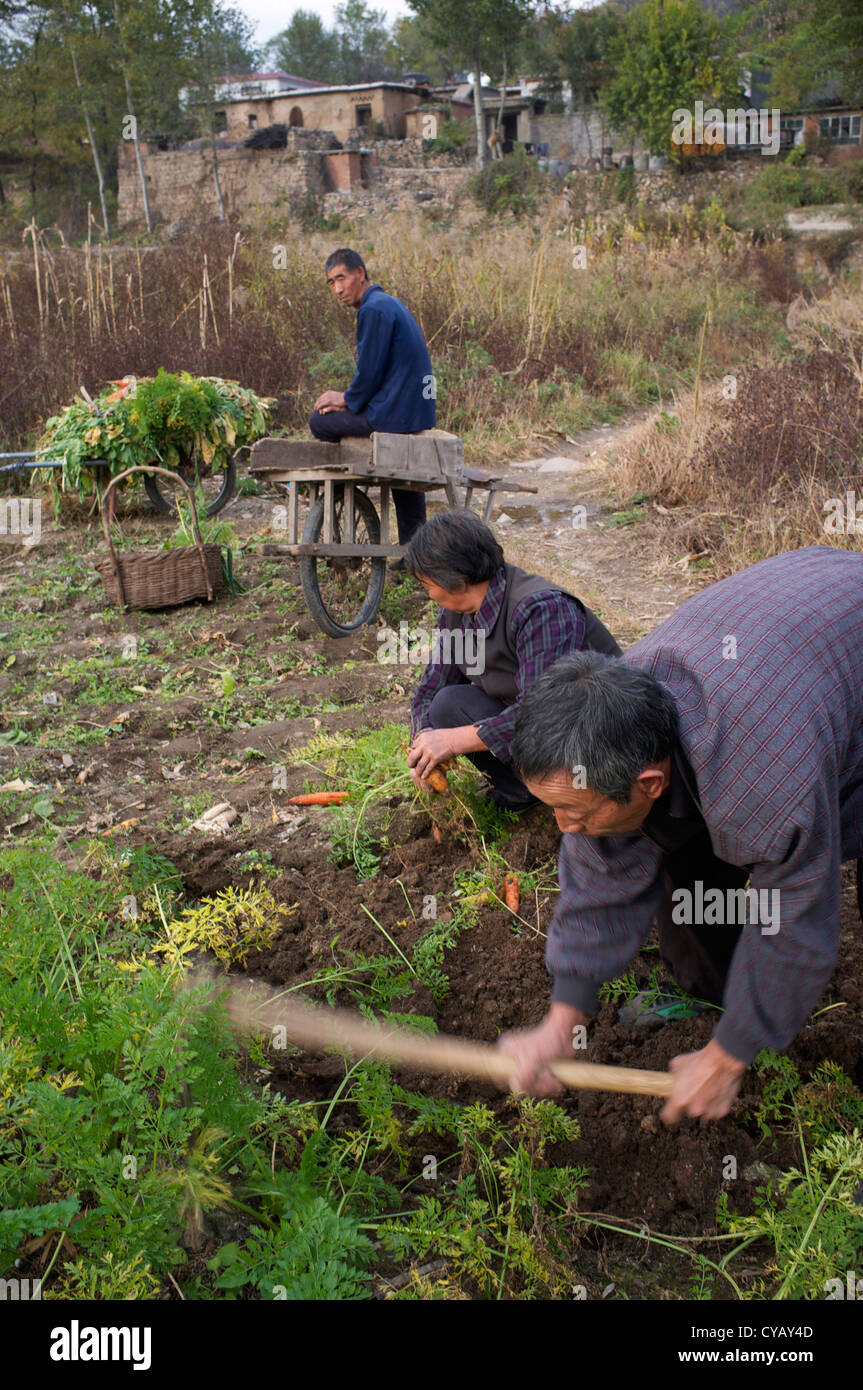 Rural Farming In China High Resolution Stock Photography and Images - Alamy