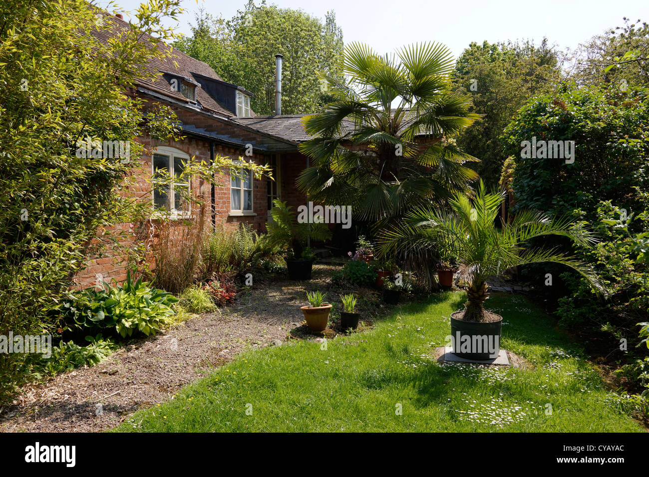 house with garden Stock Photo - Alamy