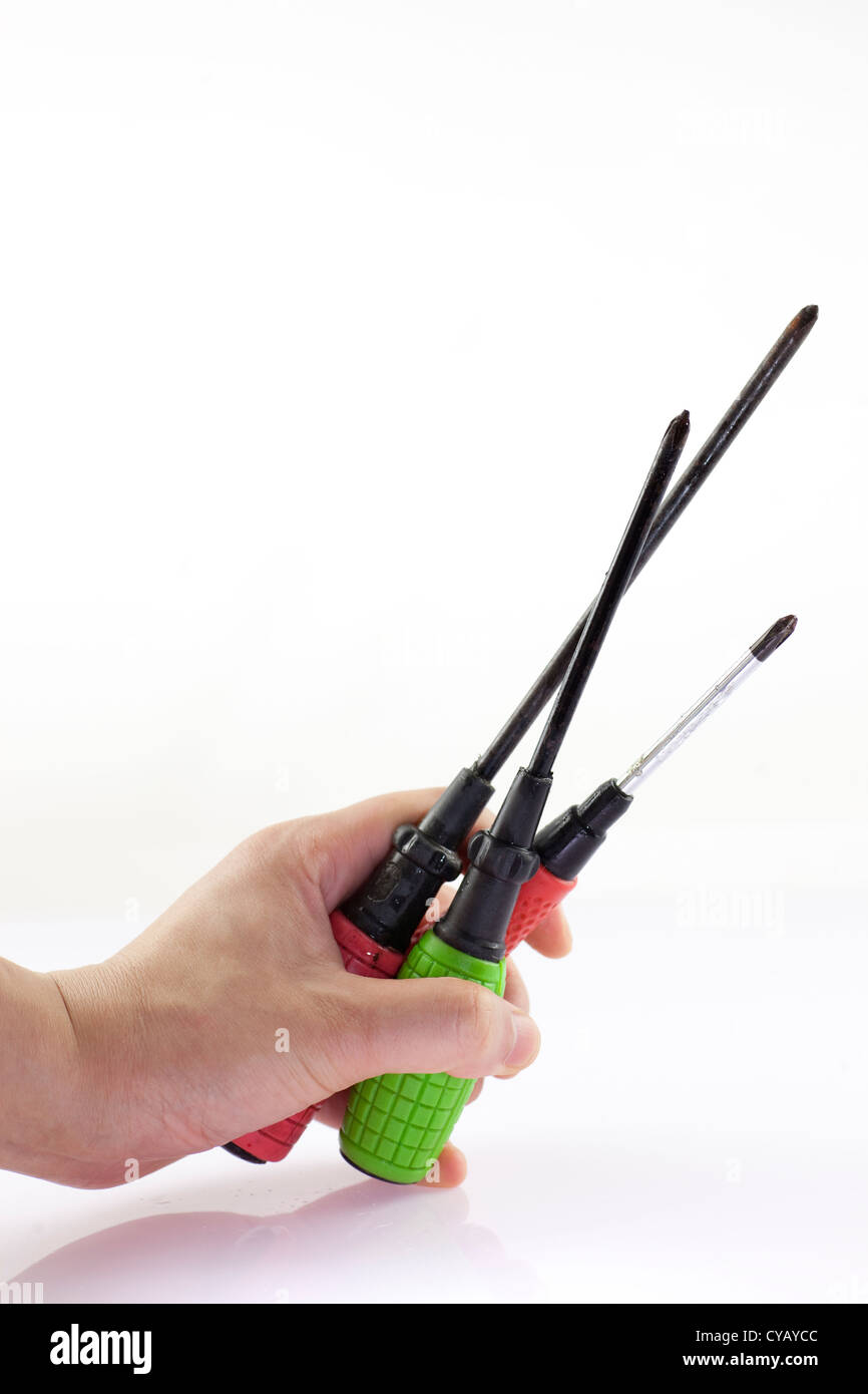 people hand holding screwdrivers on a white background Stock Photo - Alamy