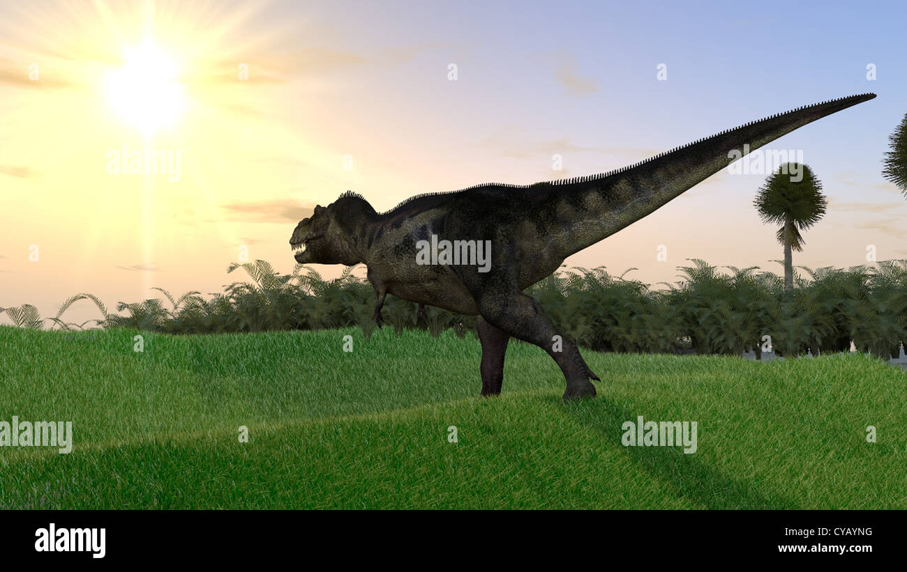 Tyrannosaure Rex Stock Photos & Tyrannosaure Rex Stock Images - Alamy