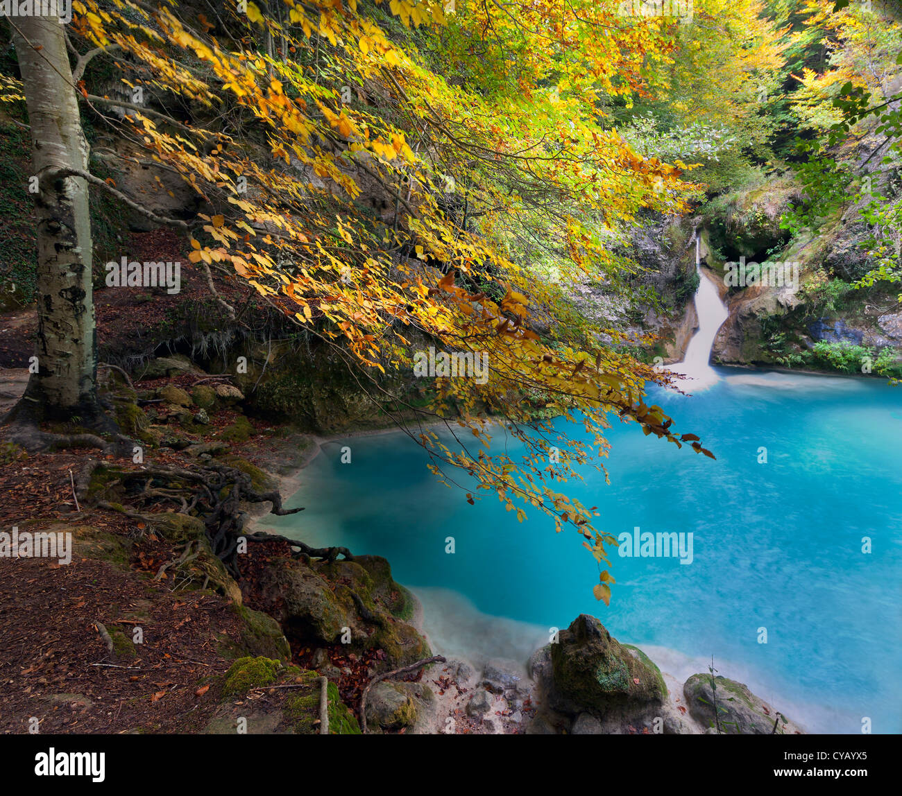 Fractal autumn hi-res stock photography and images - Alamy