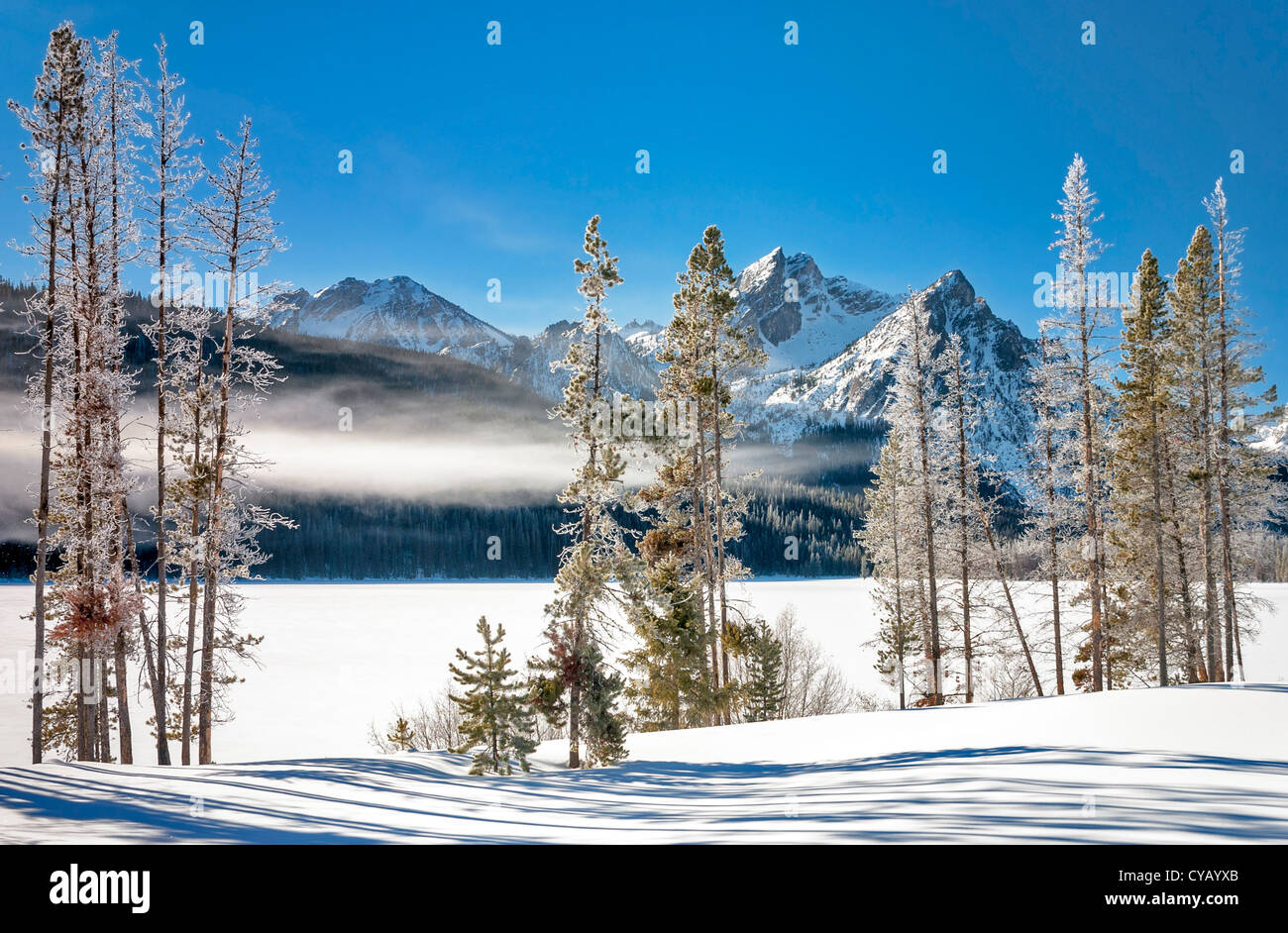 Christmas scene of a mountain lake and trees covered with snow Stock ...