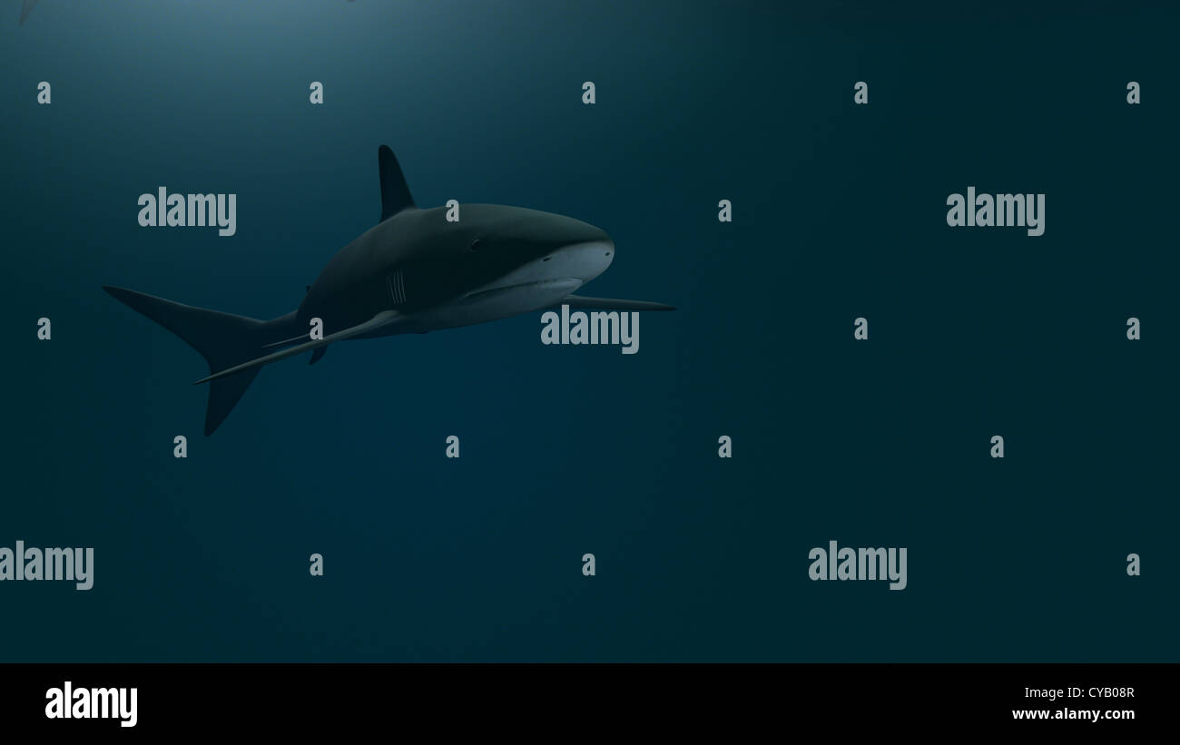 shark in deep water Stock Photo - Alamy