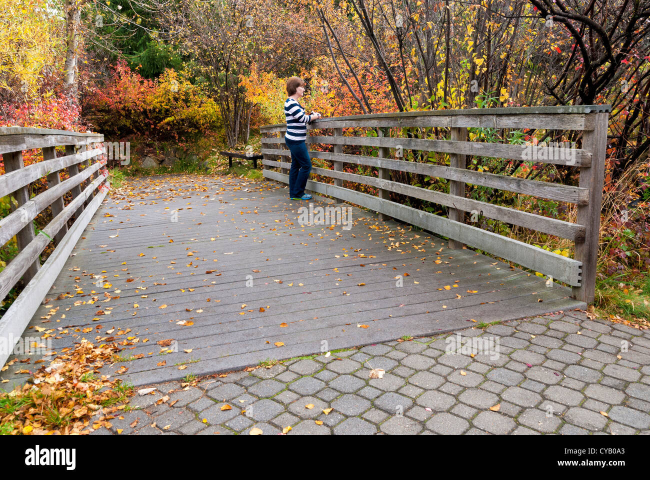 Fall colors are all around this bridge a girl looks from Stock Photo ...