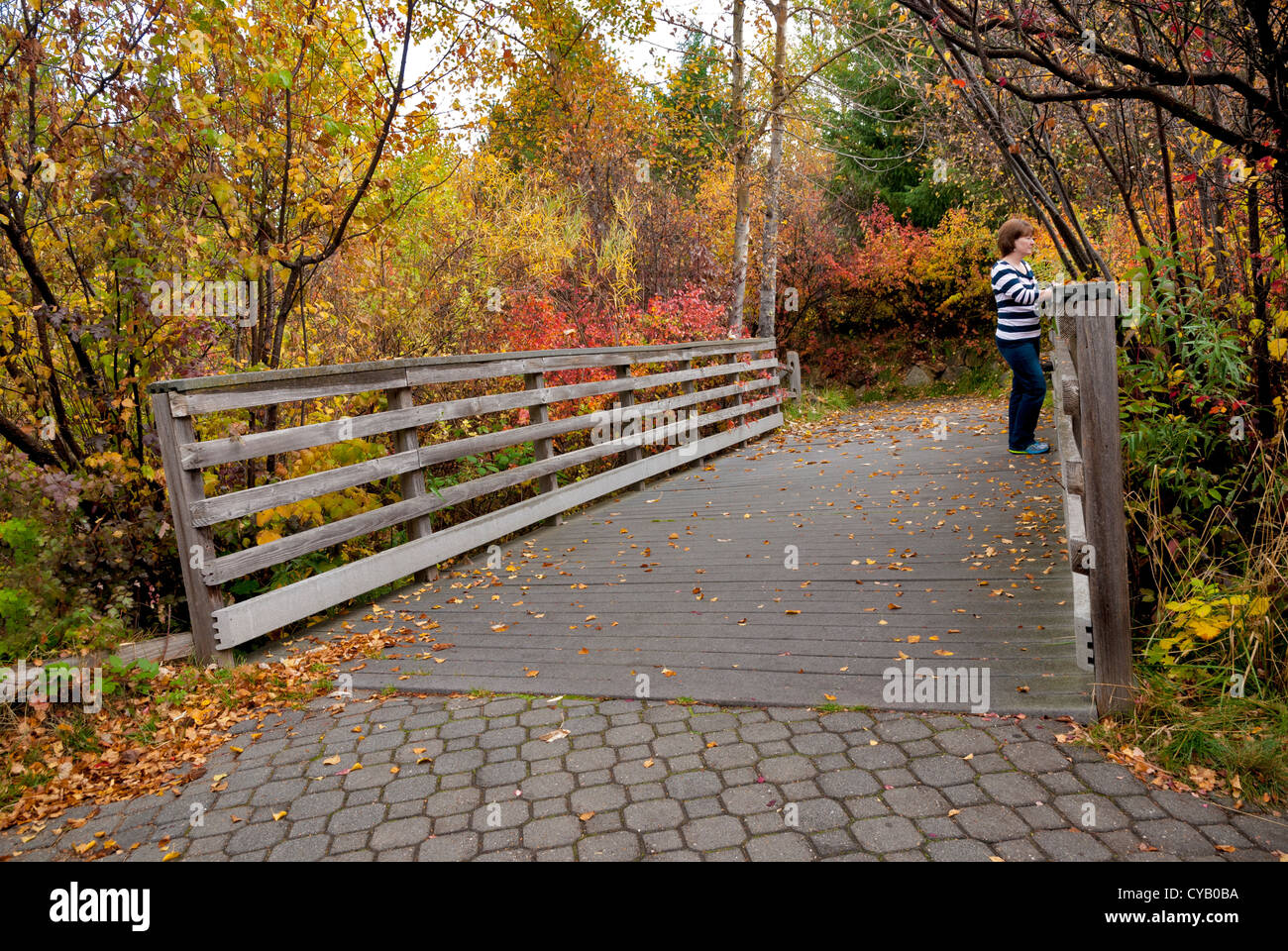 Park walking path filled with autumn color Stock Photo - Alamy