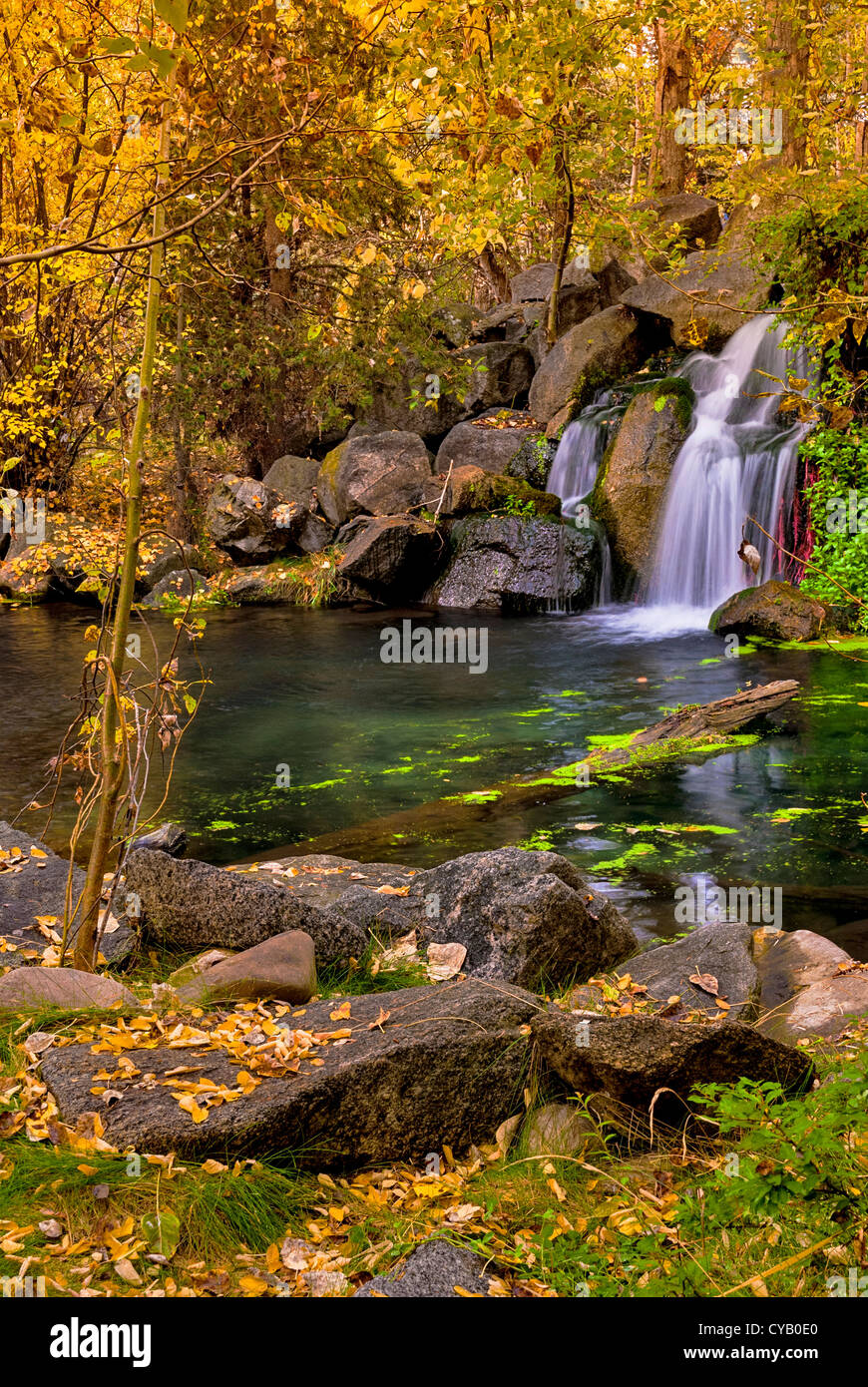 Water Fall in autumn forest feeds into a pool of water Stock Photo - Alamy