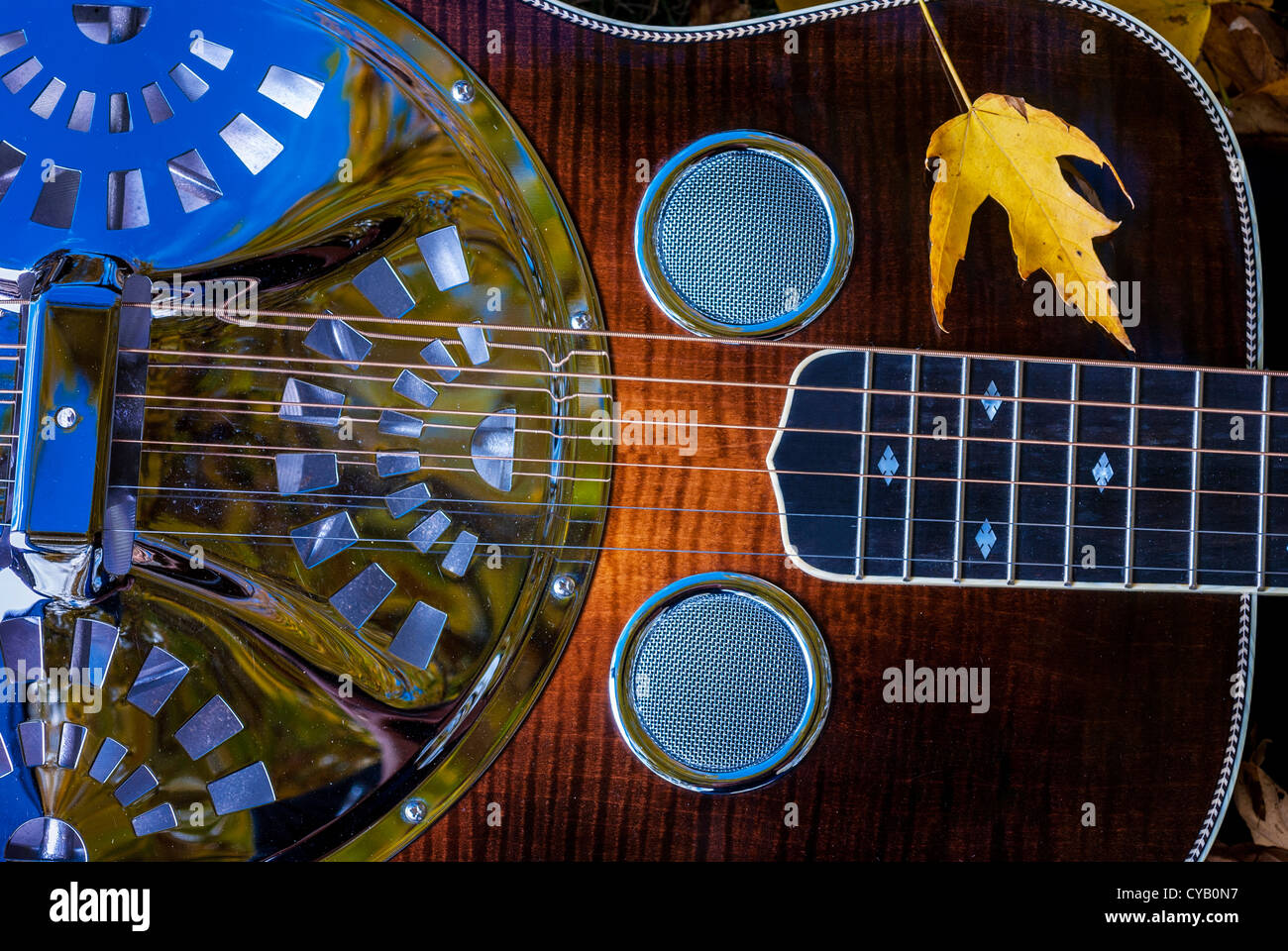 6 string steel guitar Stock Photo - Alamy