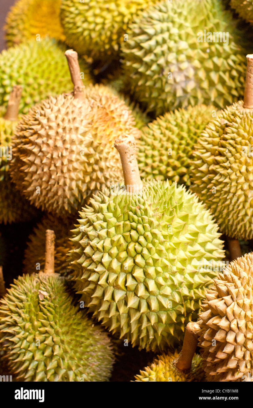 durian, an exotic tropical fruits which strong smell and thorns Stock ...