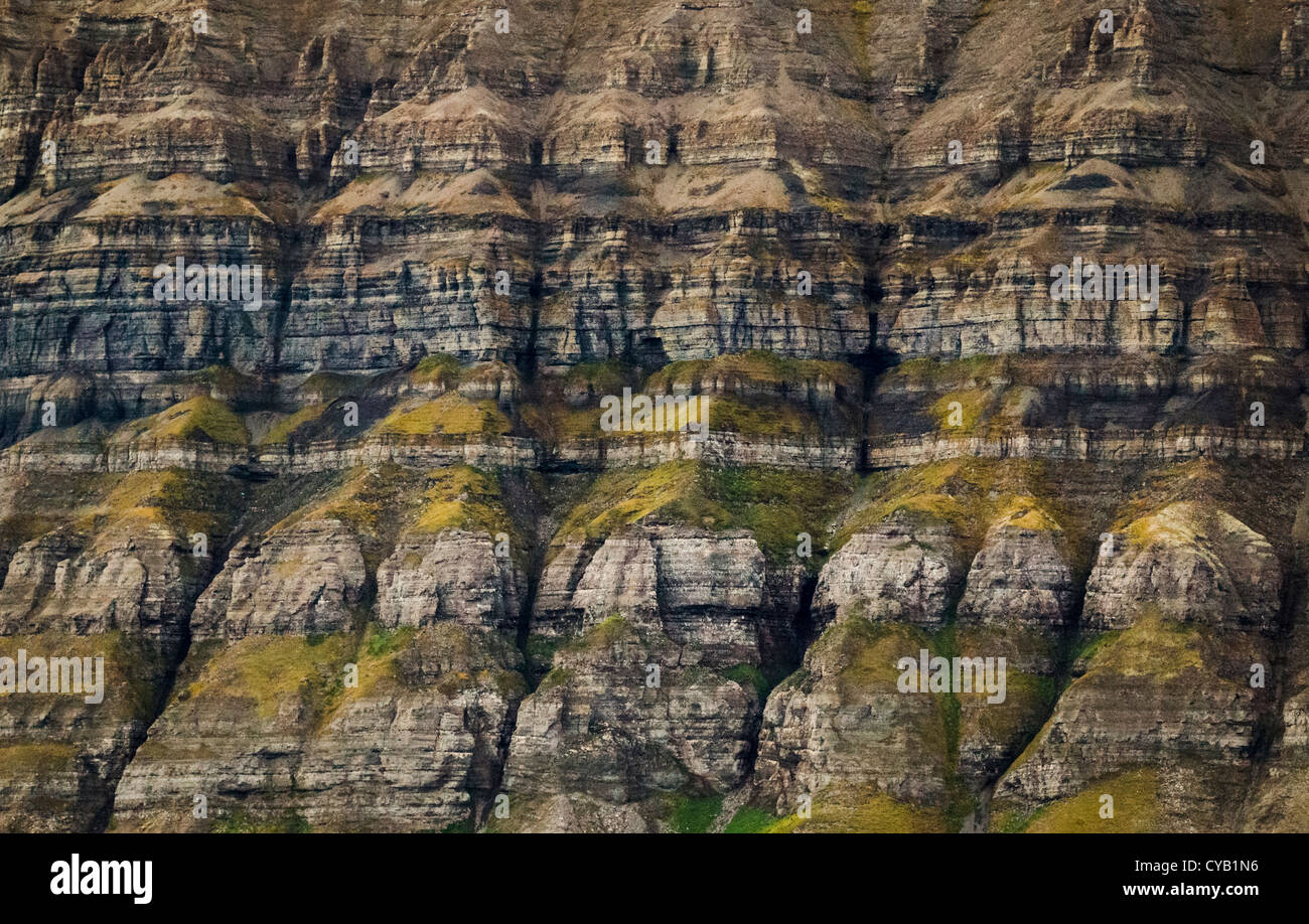 Svalbard flora hi-res stock photography and images - Alamy