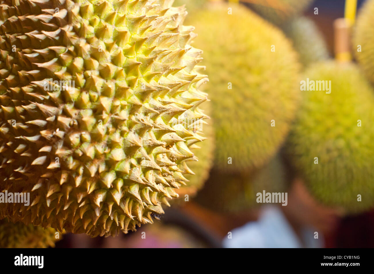 durian, an exotic tropical fruits which strong smell and thorns Stock ...