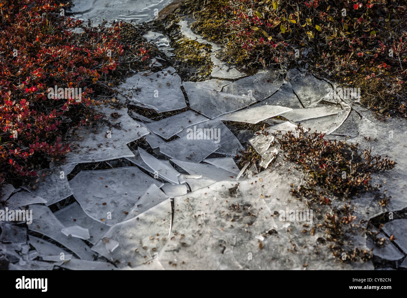 FREDERIKSDAL NATIONAL PARK GREENLAND Stock Photo - Alamy