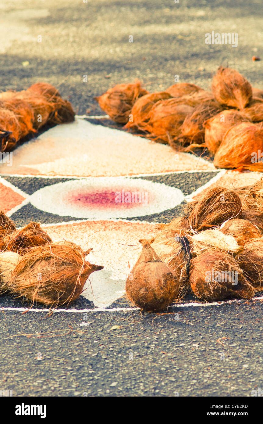 Thaipusam smashing coconut festival hi-res stock photography and images ...