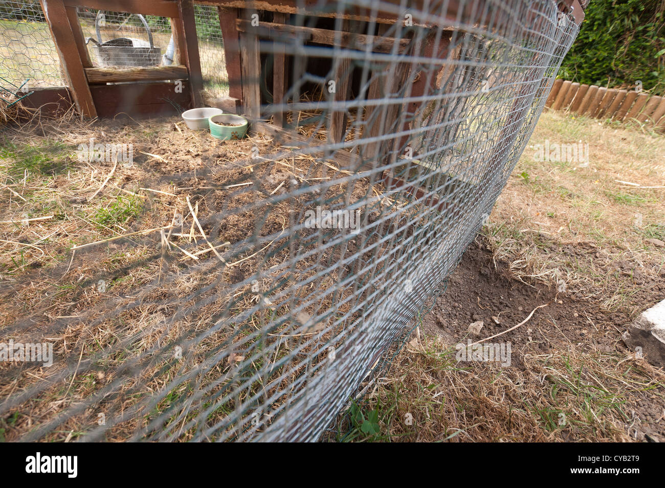 Death rabbit hi-res stock photography and images - Alamy