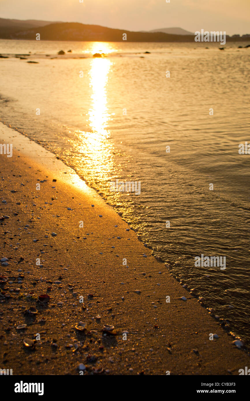 Lapping sun hi-res stock photography and images - Alamy