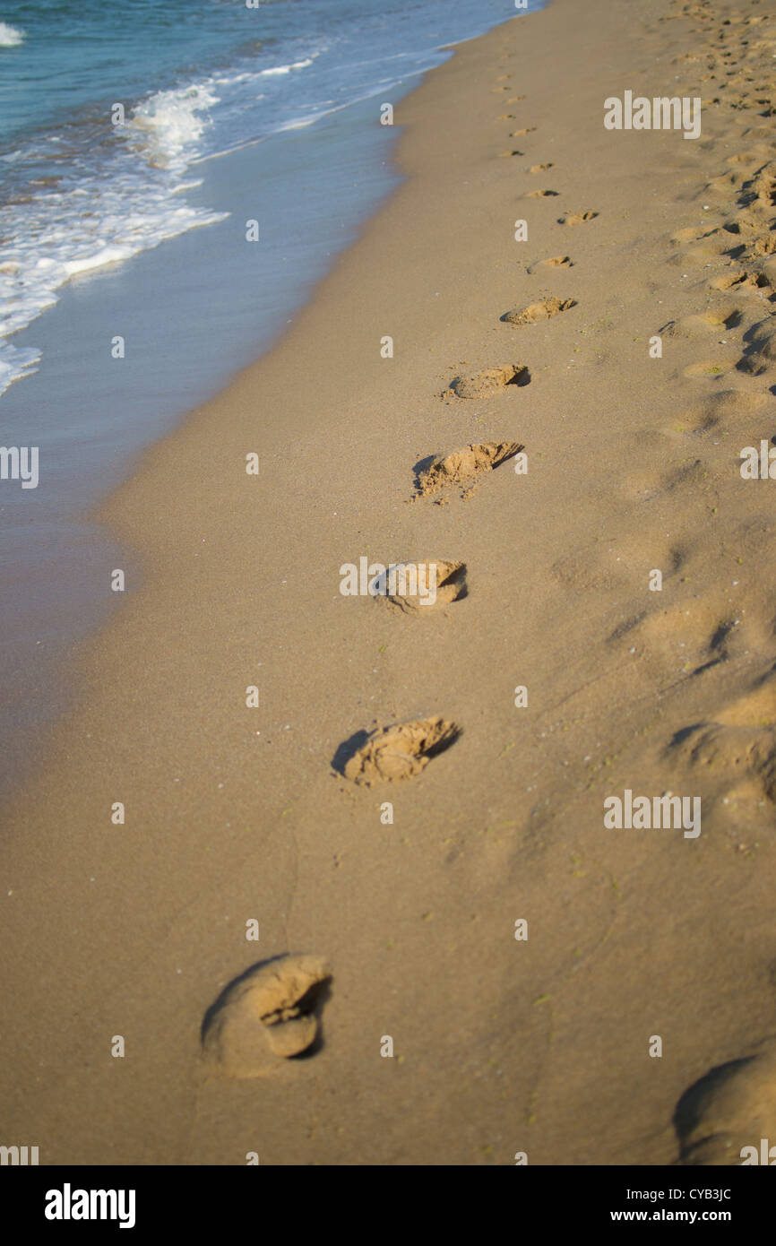 Footprints in the sand on the beach Stock Photo - Alamy
