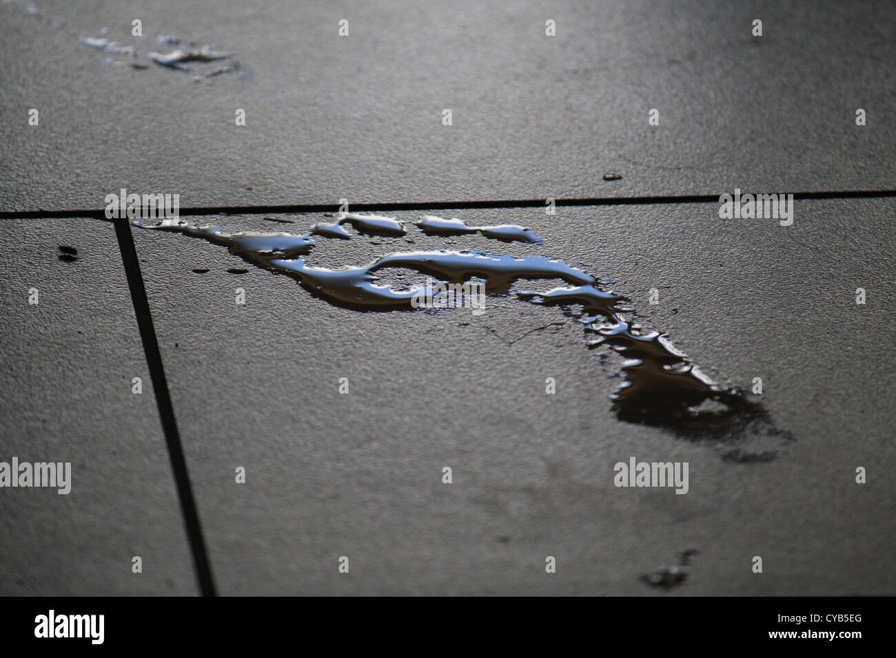 Wet human footprint on tiles. Right foot Stock Photo - Alamy
