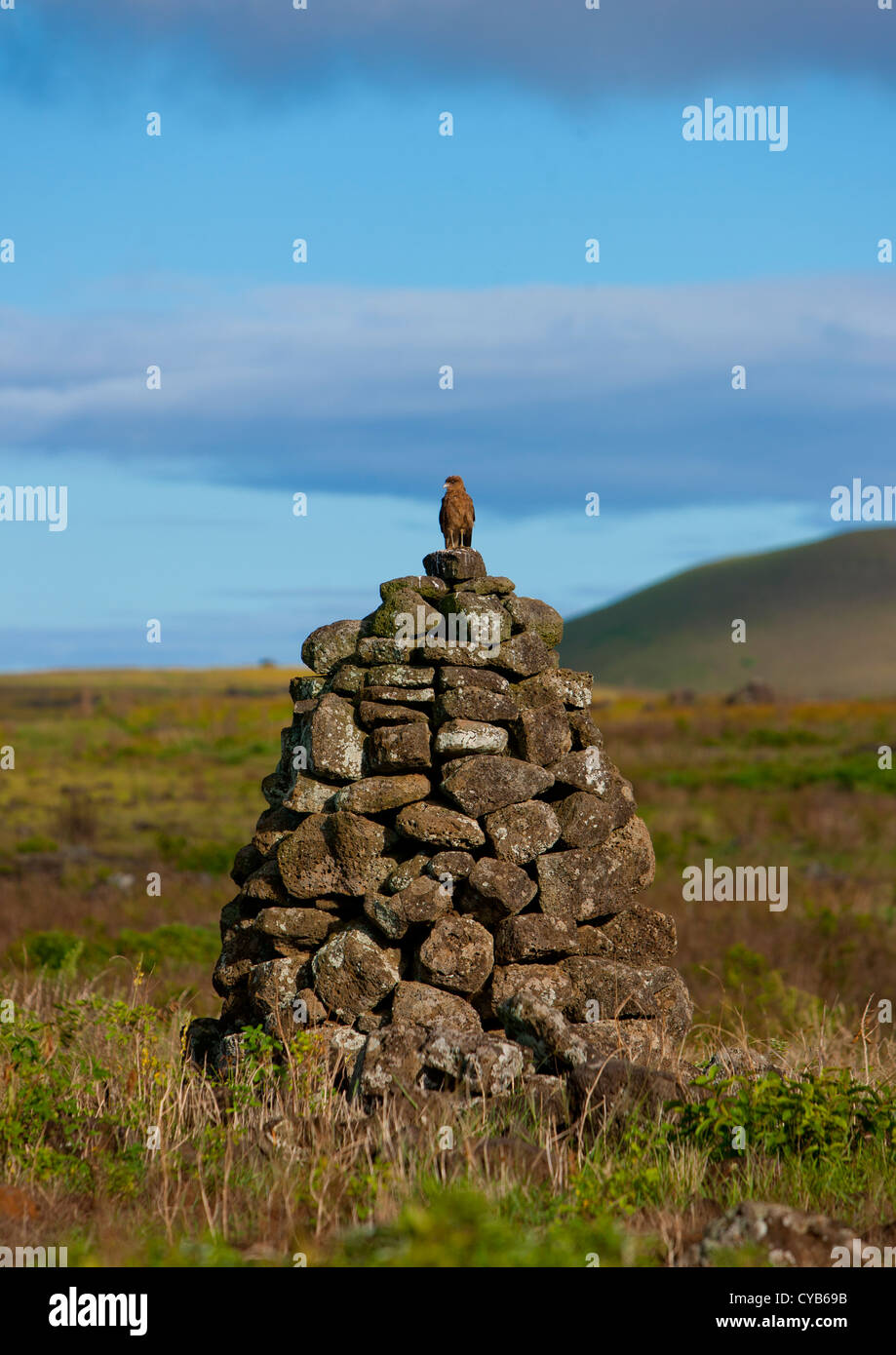 Pipi island hi-res stock photography and images - Alamy