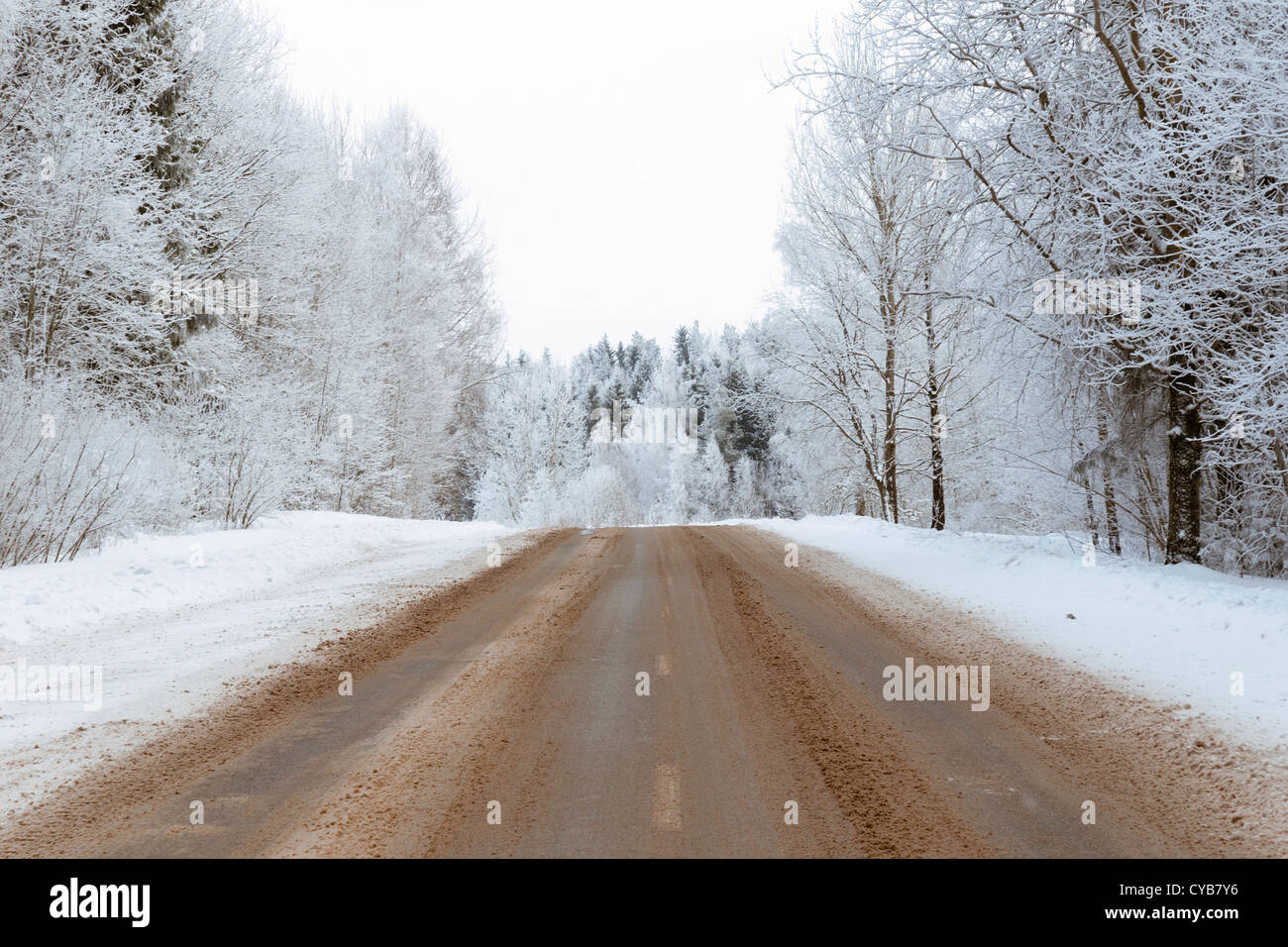 empty road through scenic winter forest Stock Photo - Alamy