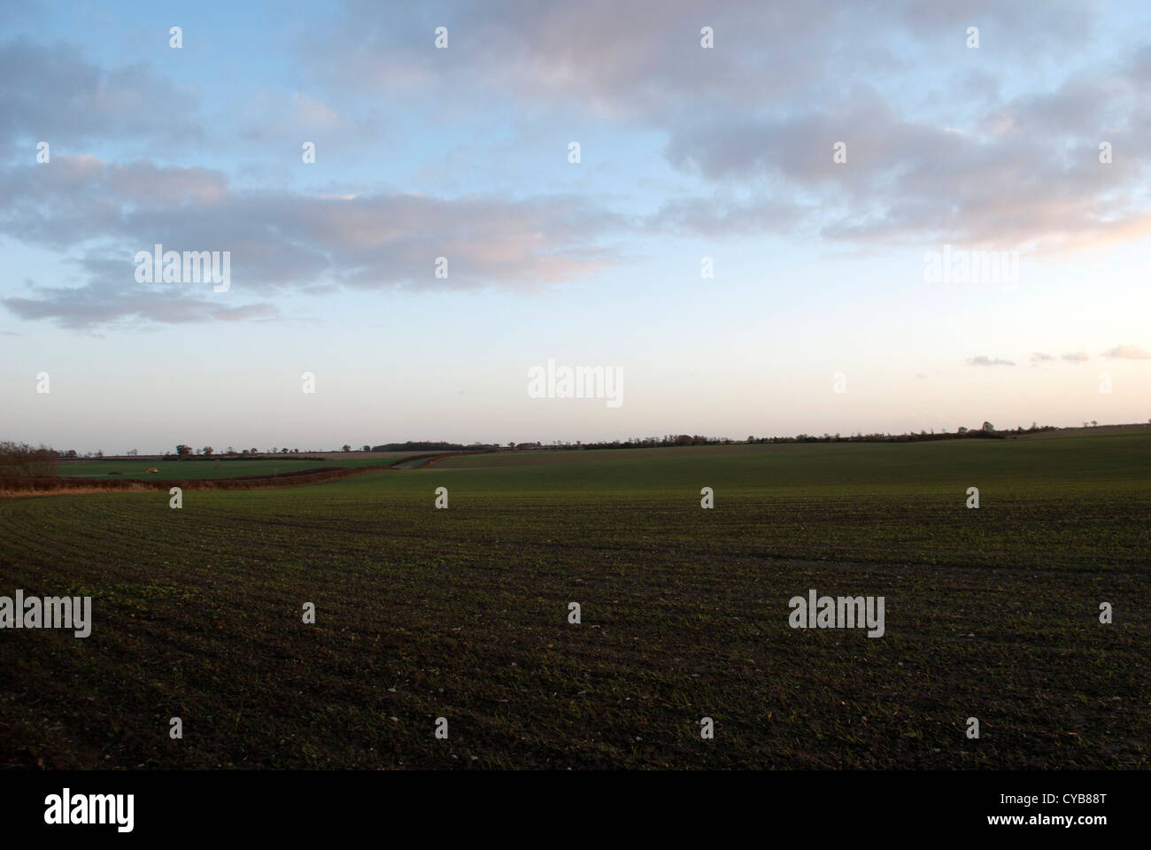 Dark fields in shadow beneath pale sky with pink clouds near sunset ...