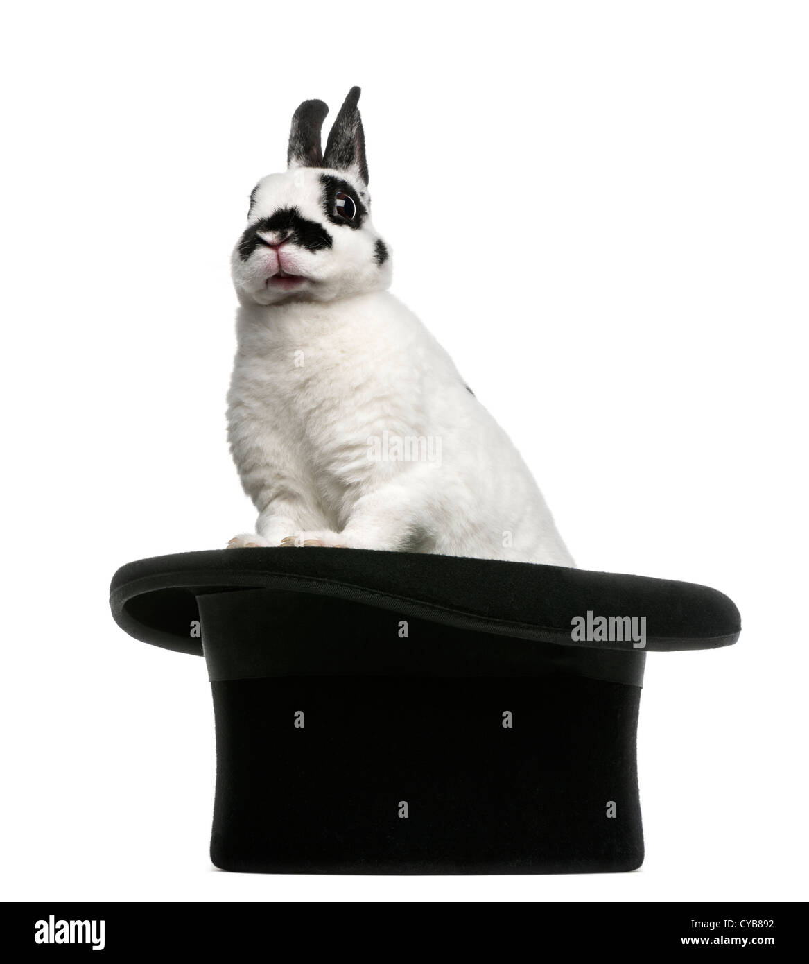 Magic hat, rabbit hi-res stock photography and images - Alamy