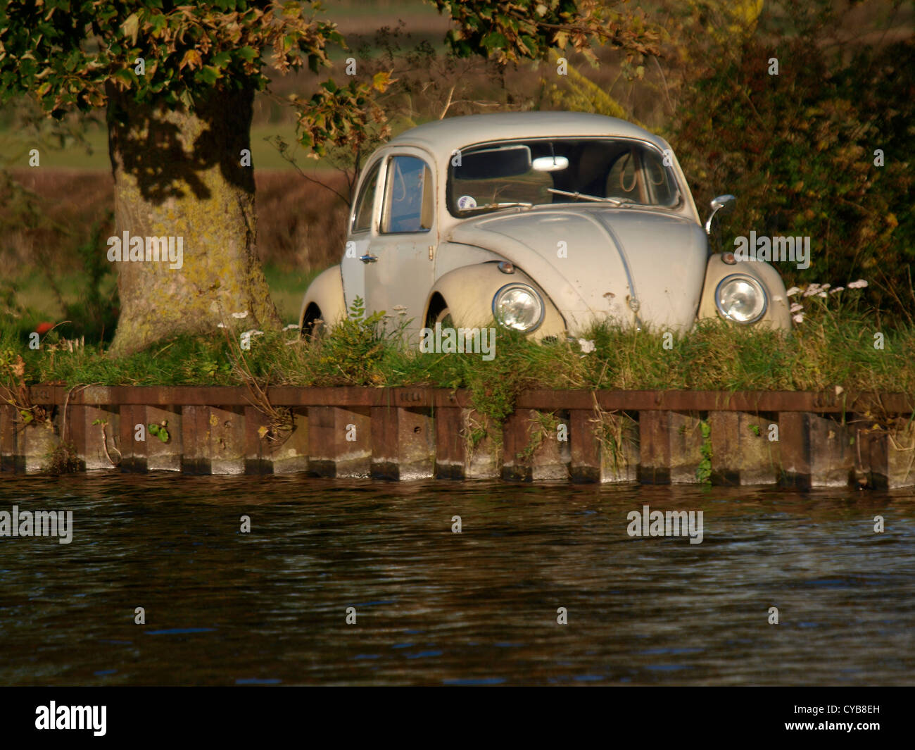Classic VW Beetle parked under a tree next to a canal, UK Stock Photo ...