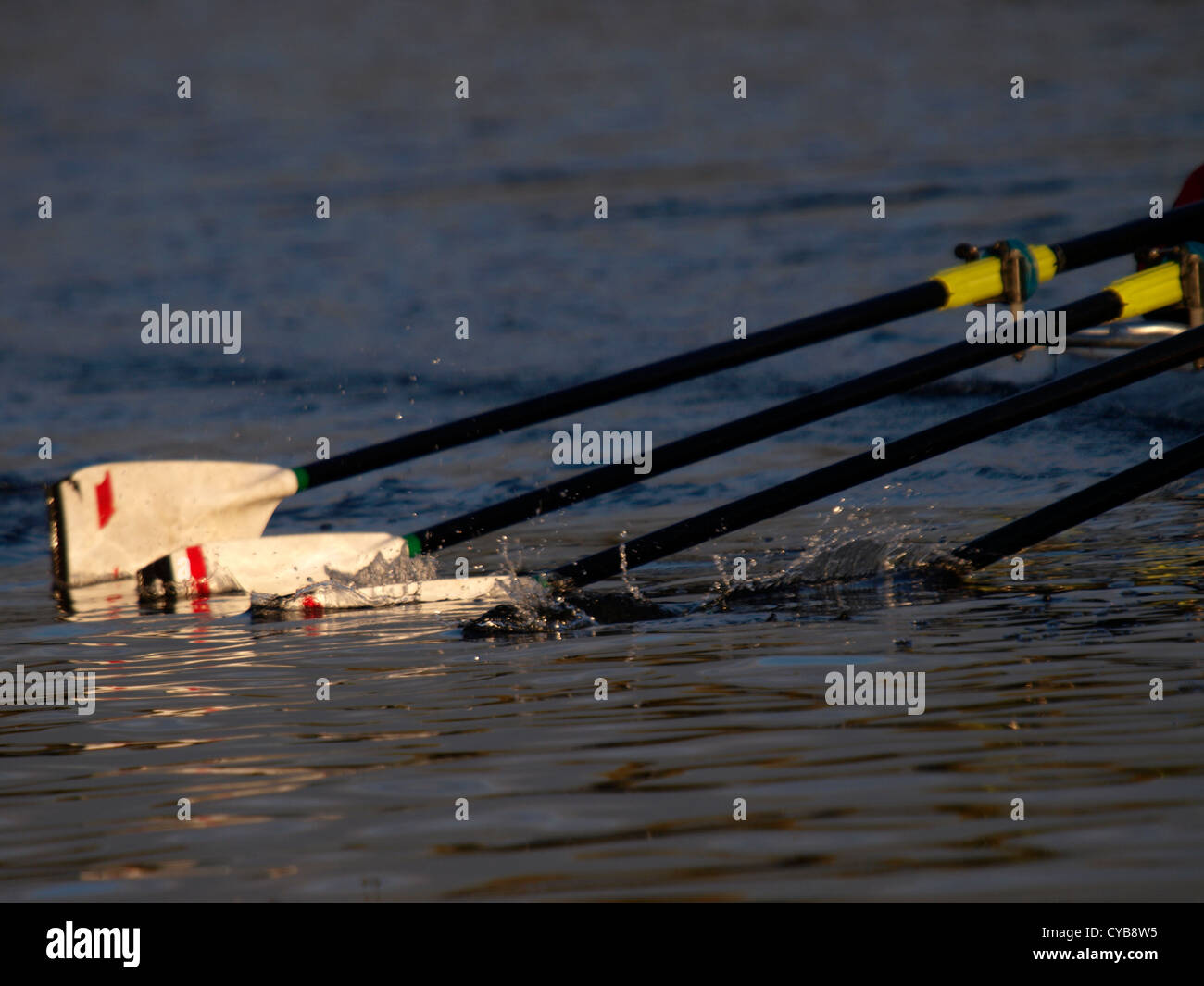 Rowers oars, UK Stock Photo - Alamy