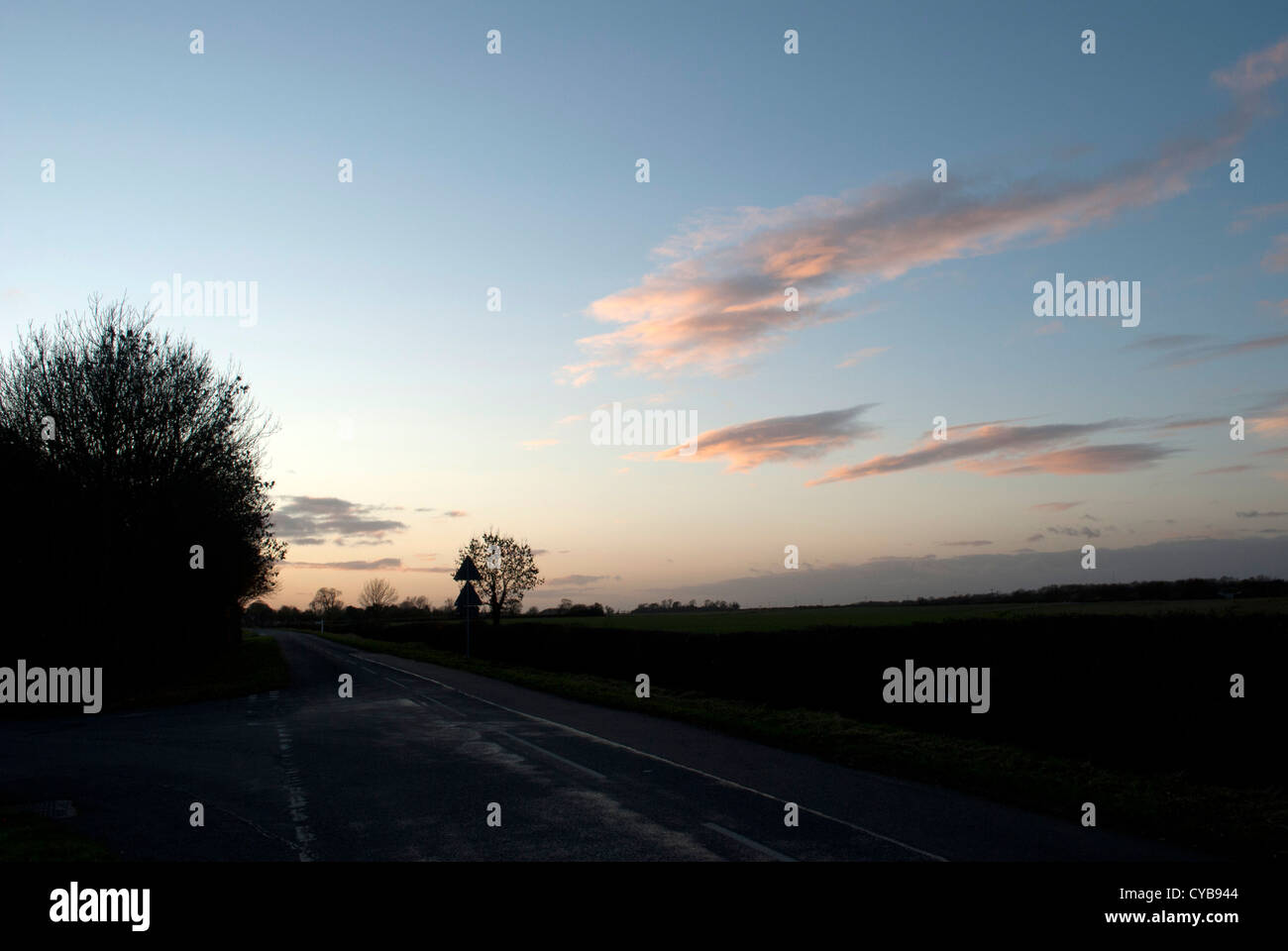 Dark country road with trees and hedges silhouetted against pale sky at ...