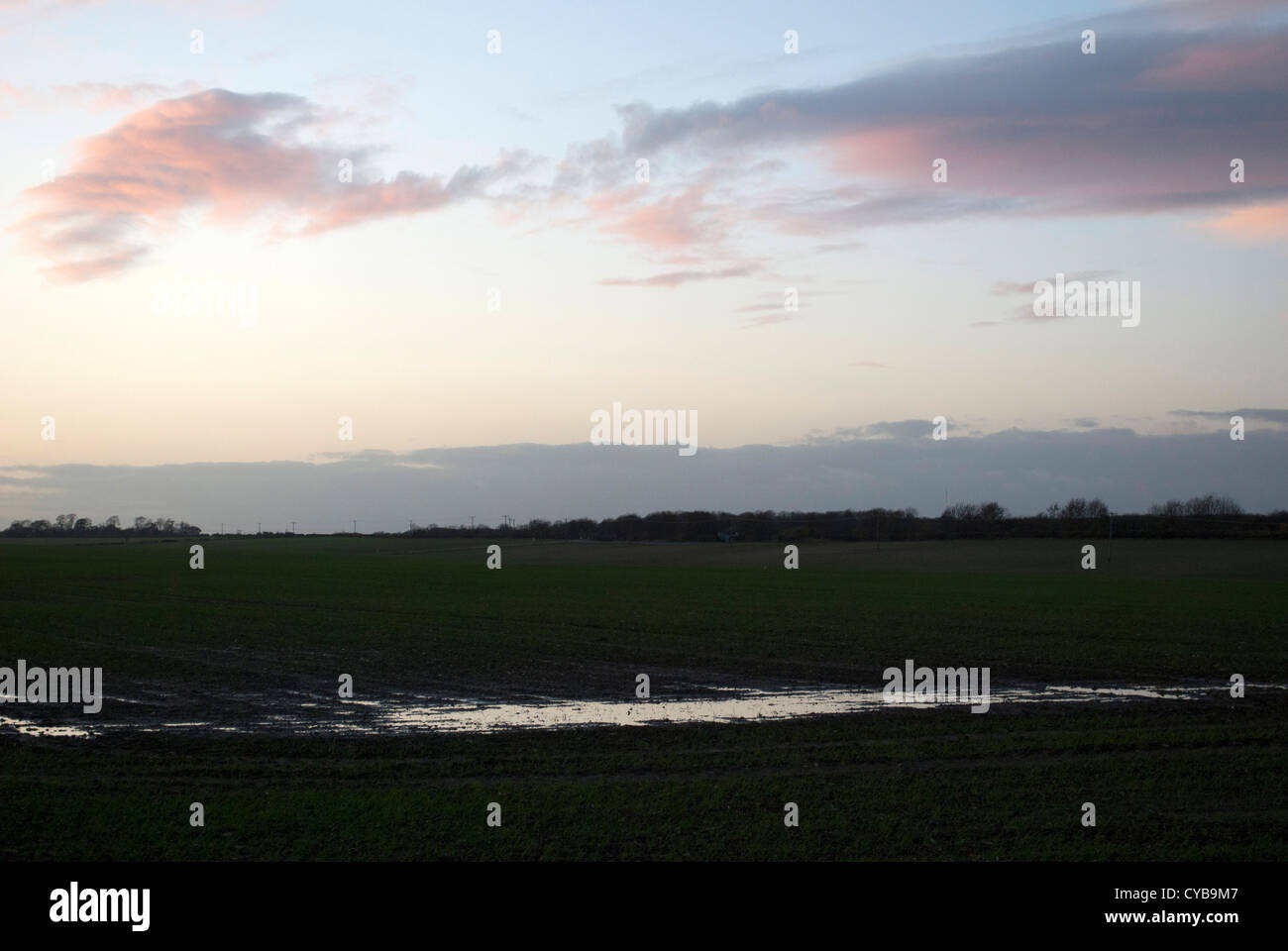 Dark fields in shadow beneath pale sky with pink clouds near sunset ...