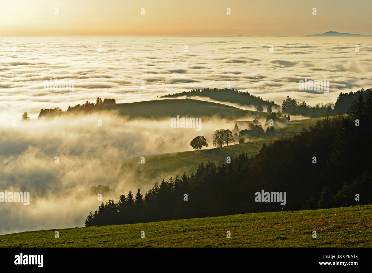 Inversion in the Black Forest Stock Photo - Alamy