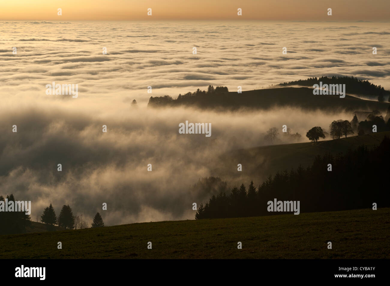 Inversion in the Black Forest Stock Photo - Alamy