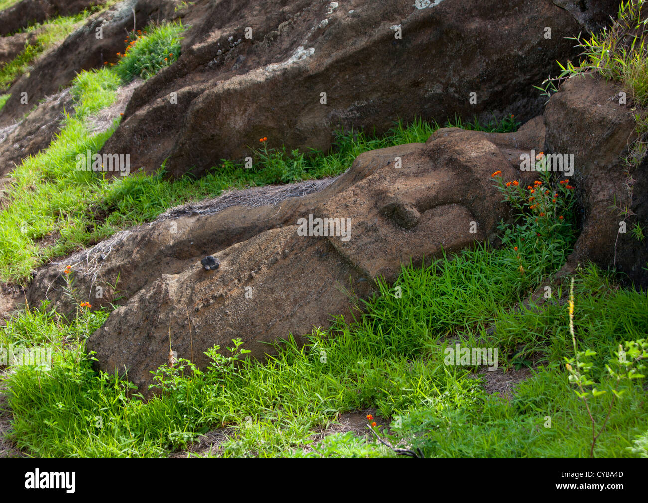 Araku culture hi-res stock photography and images - Alamy