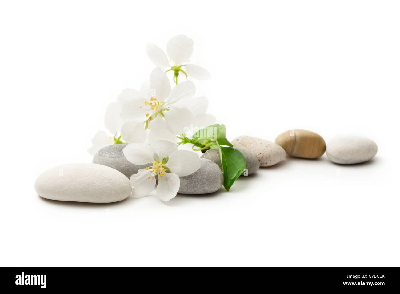 Apple tree flowers and stones Stock Photo - Alamy