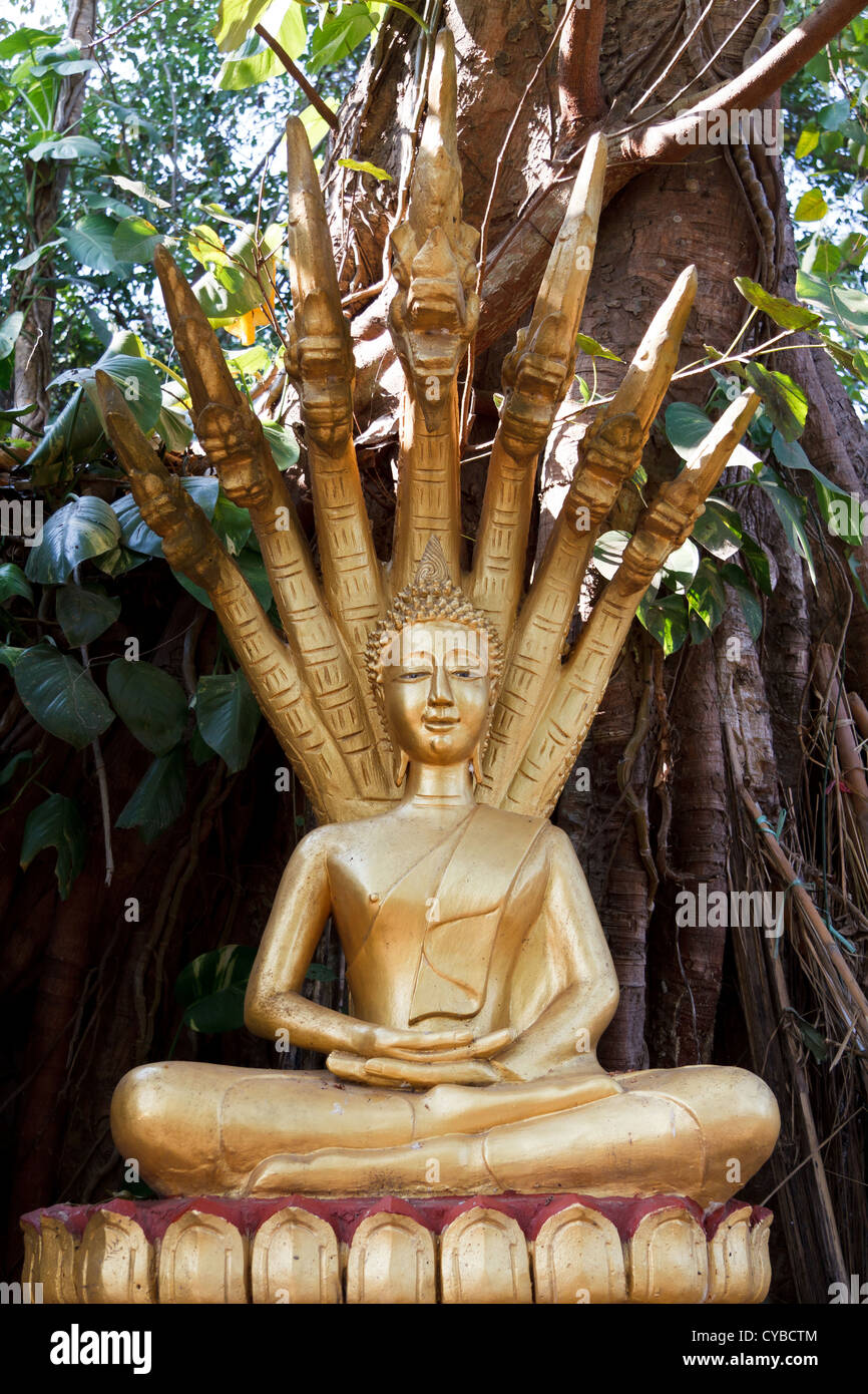 Buddha Statues on the Temple Mount Phou Si in Luang Prabang, Laos Stock ...