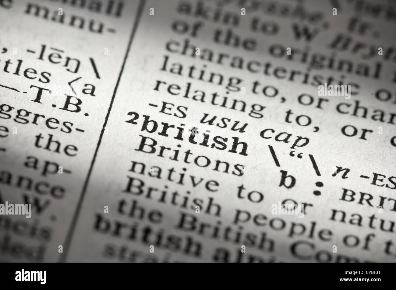 Close up of word definition in an English dictionary: "British Stock ...