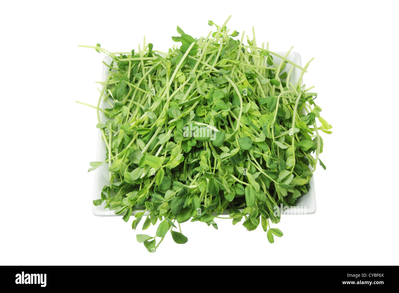 Snow Pea Sprouts Stock Photo - Alamy