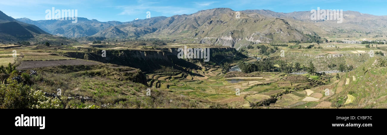 Inca Terraces. The Colca Valley. Peru Stock Photo - Alamy