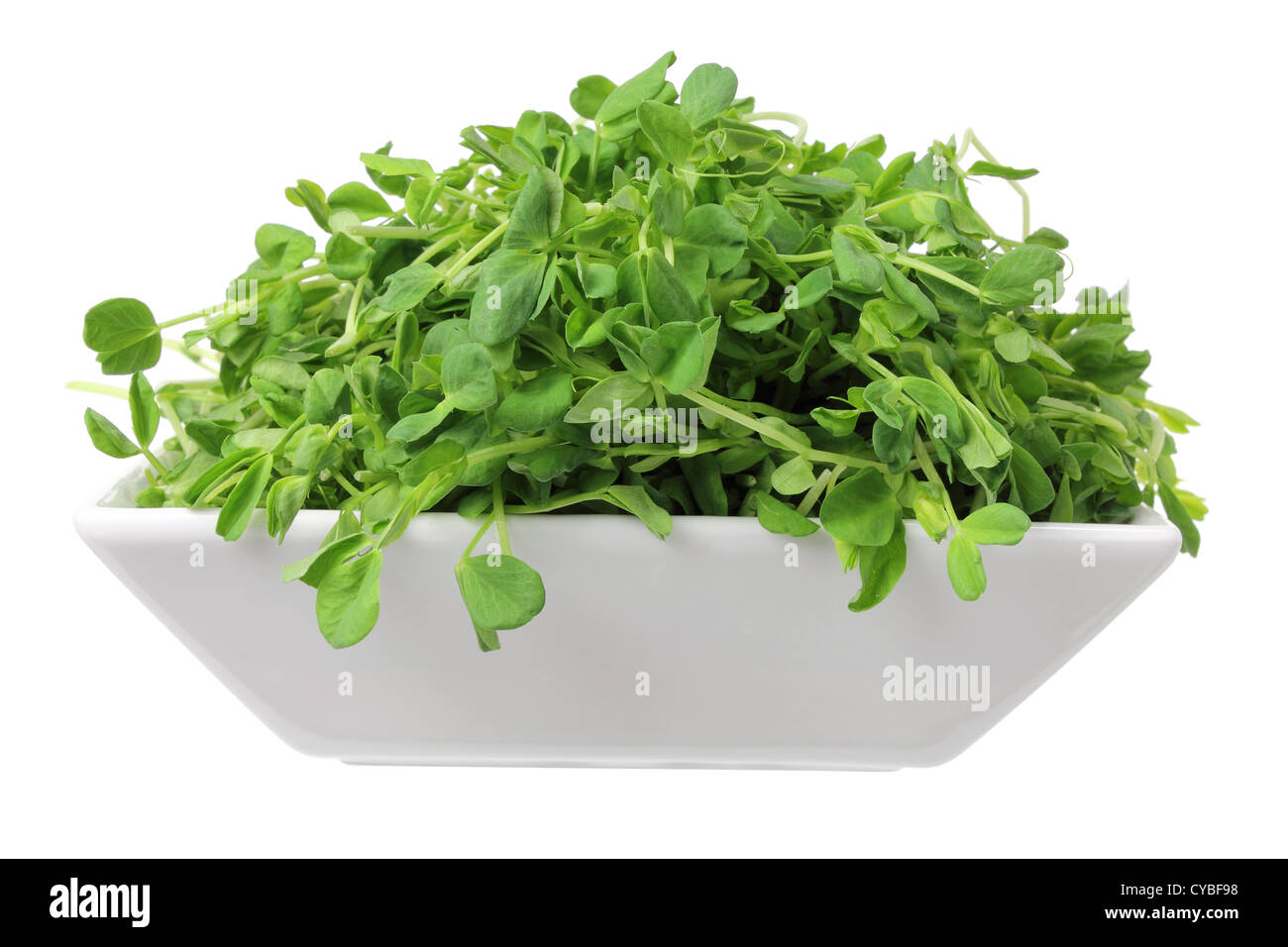 Plate of Snow Pea Sprouts Stock Photo - Alamy