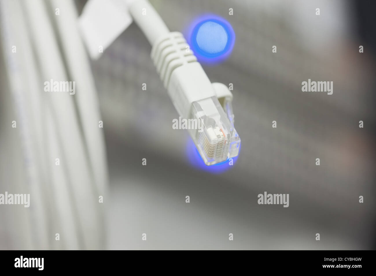 Close-up of a wire of server Stock Photo - Alamy